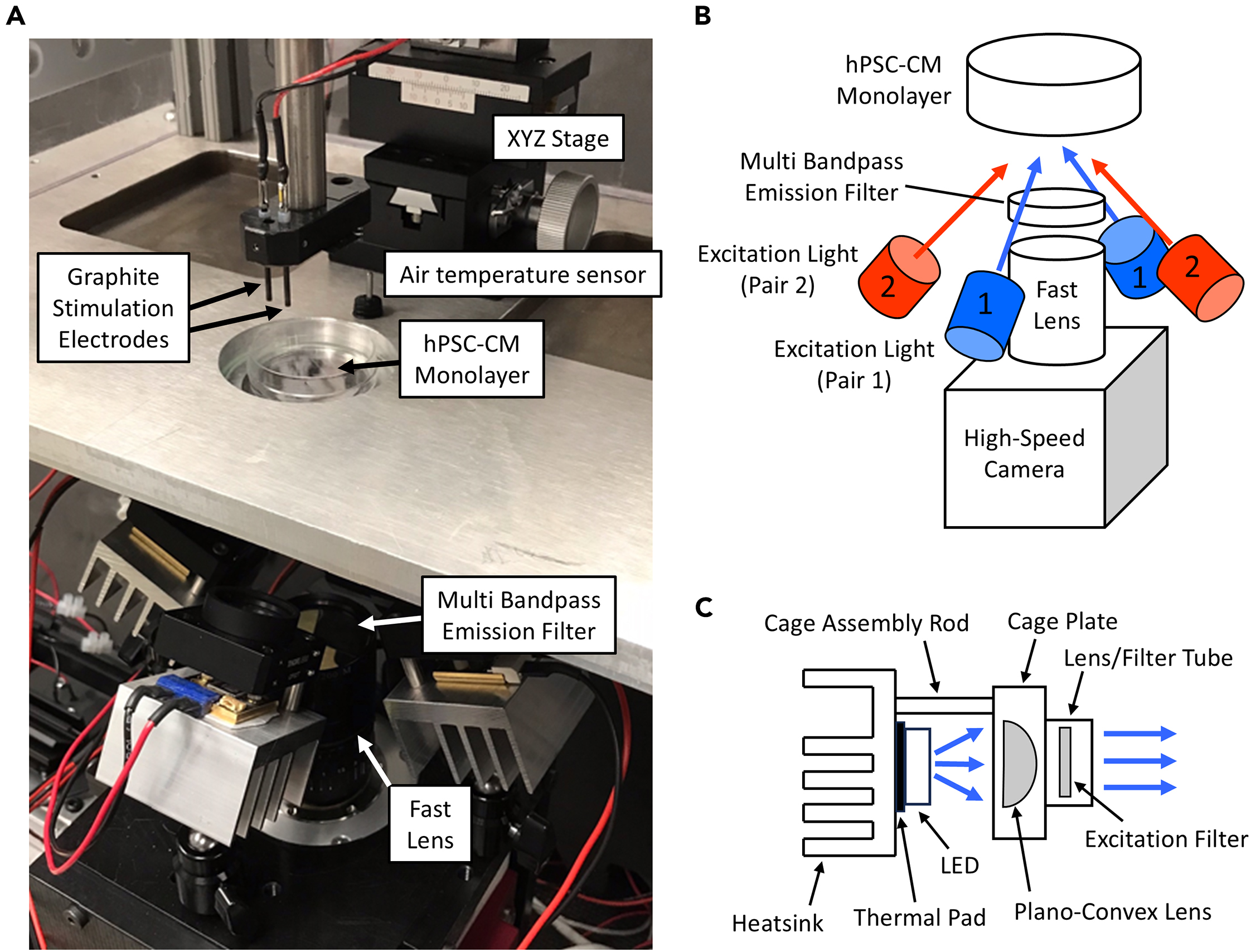 Cell Press: STAR Protocols