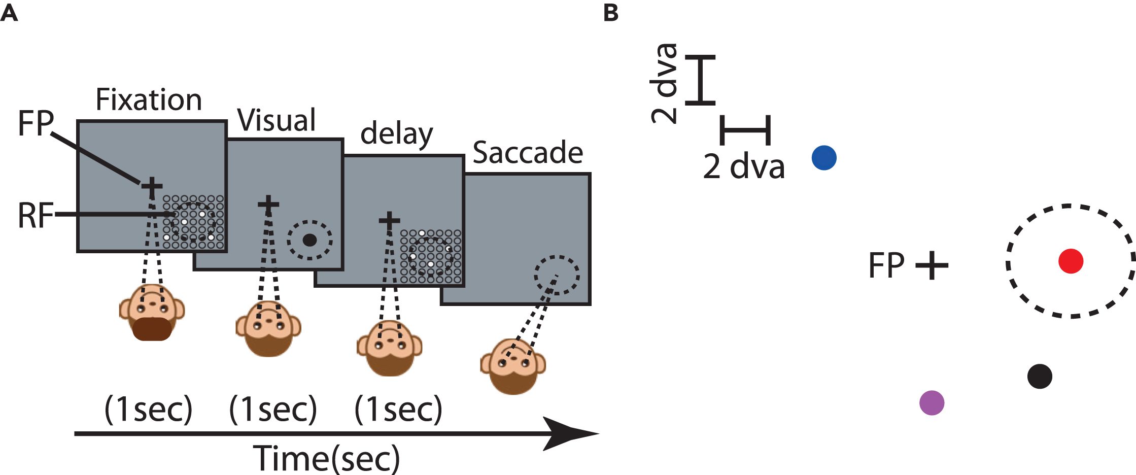 Cell Press: STAR Protocols