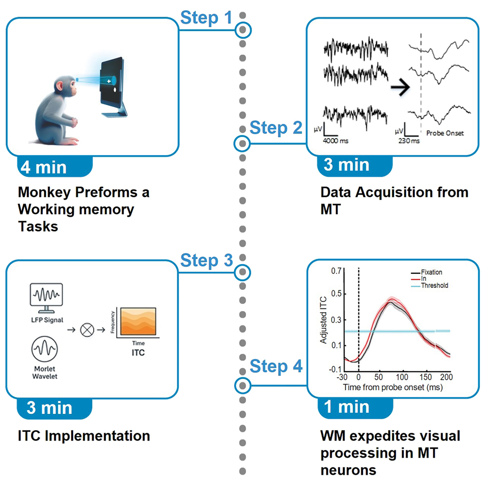 Cell Press: STAR Protocols