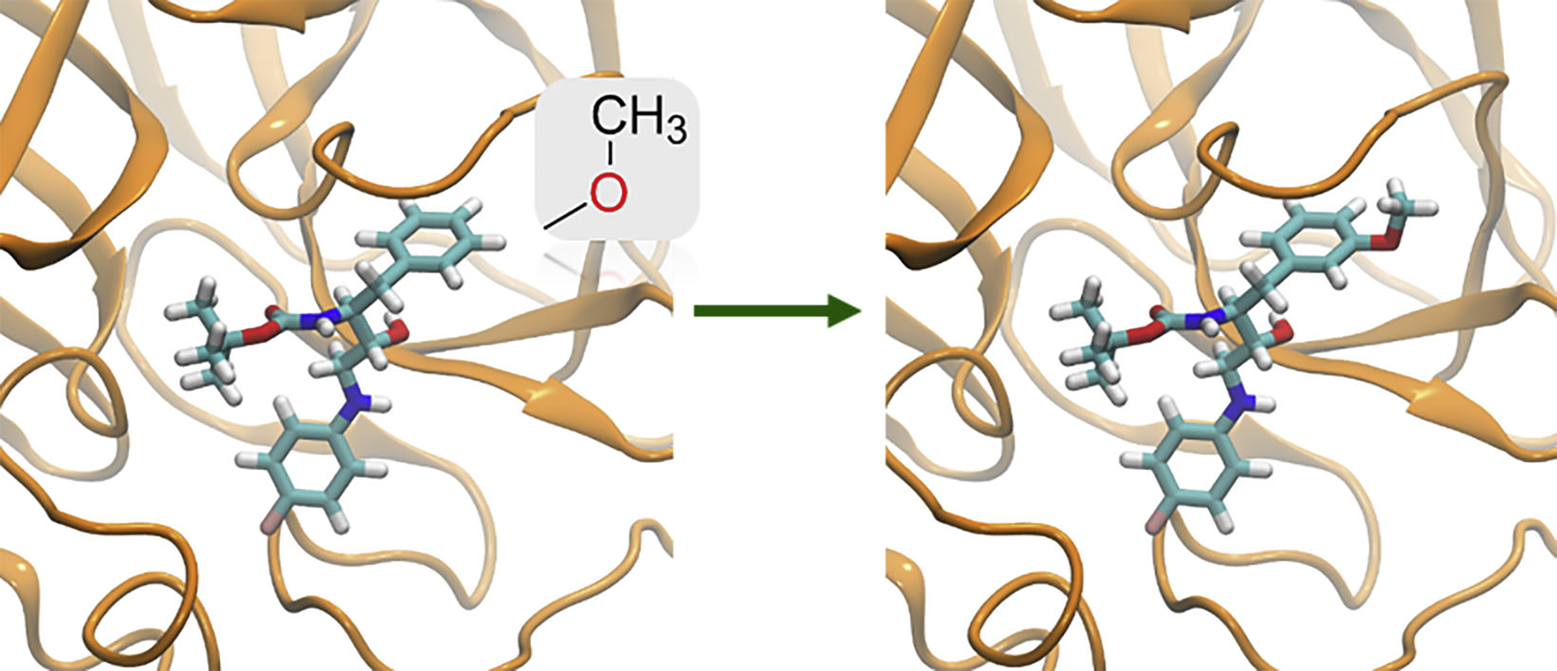 Cell Press: STAR Protocols