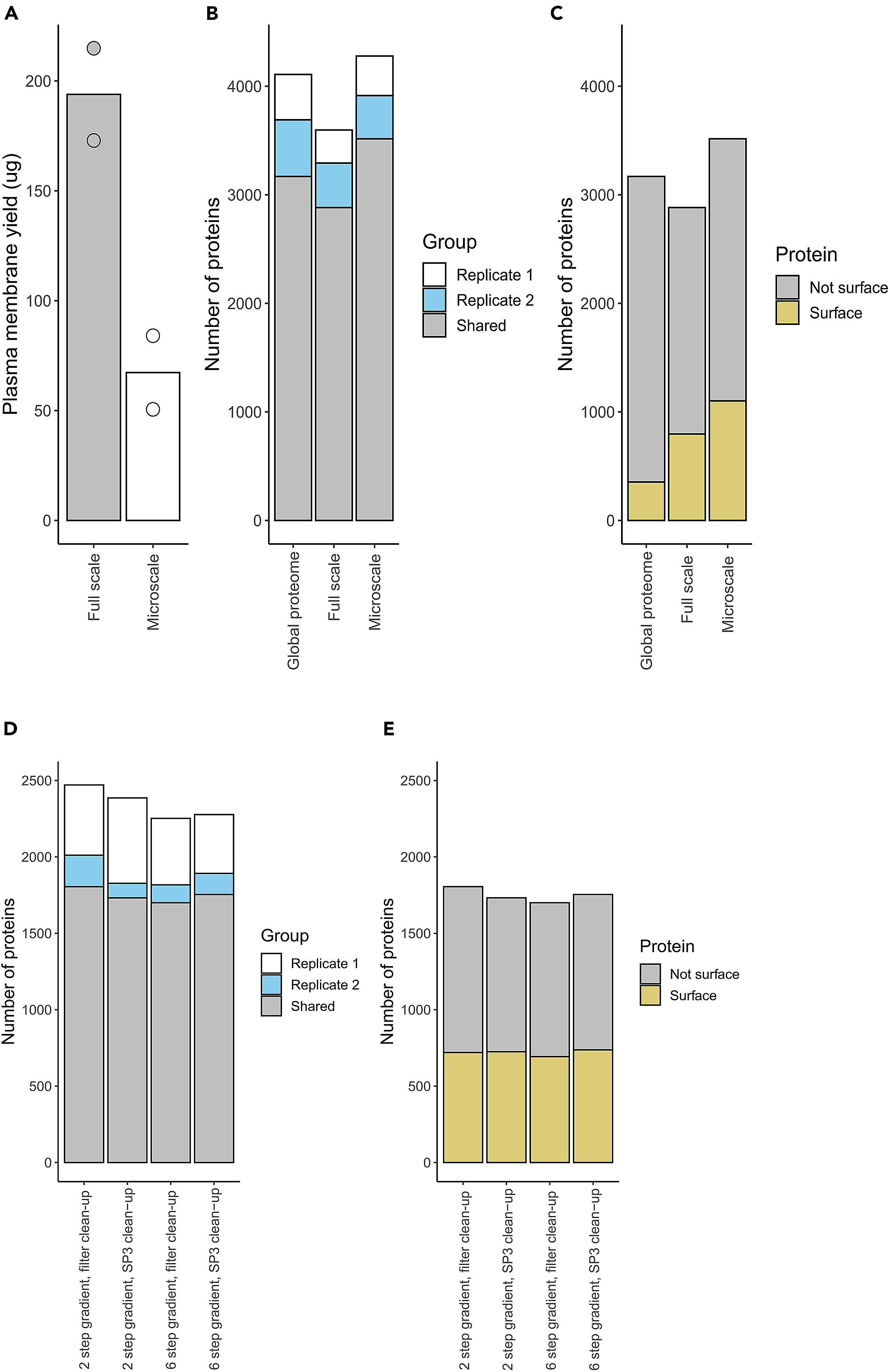Cell Press: STAR Protocols
