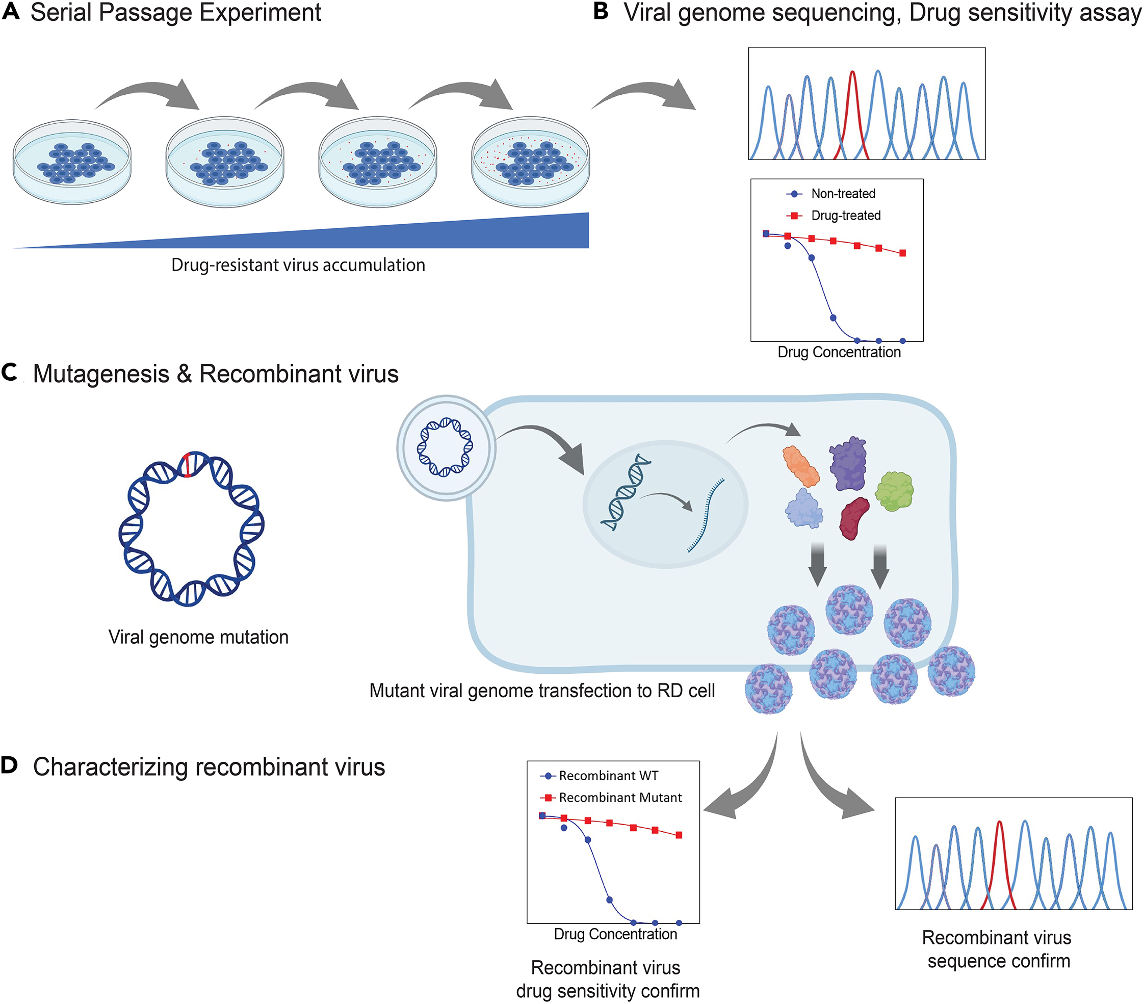 Cell Press: STAR Protocols