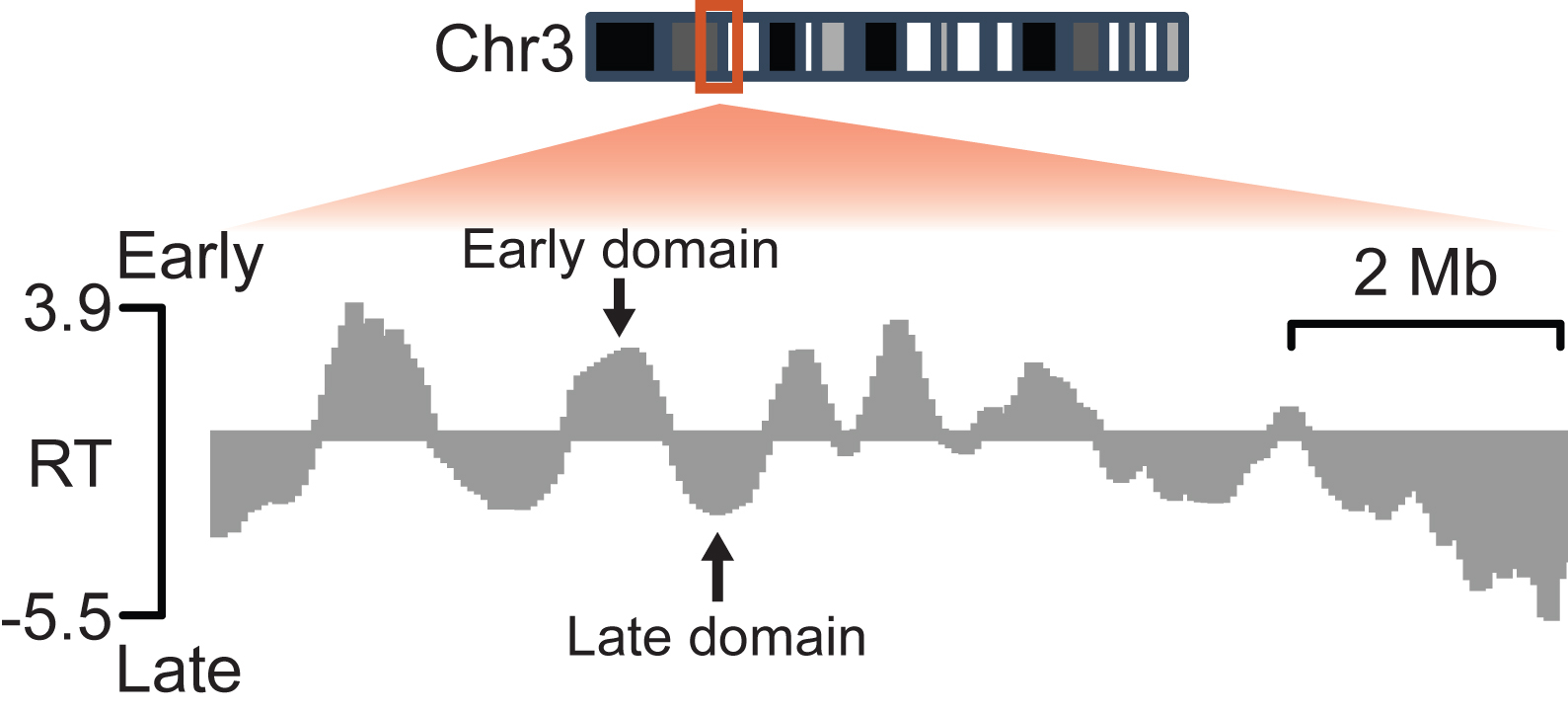 Cell Press: STAR Protocols