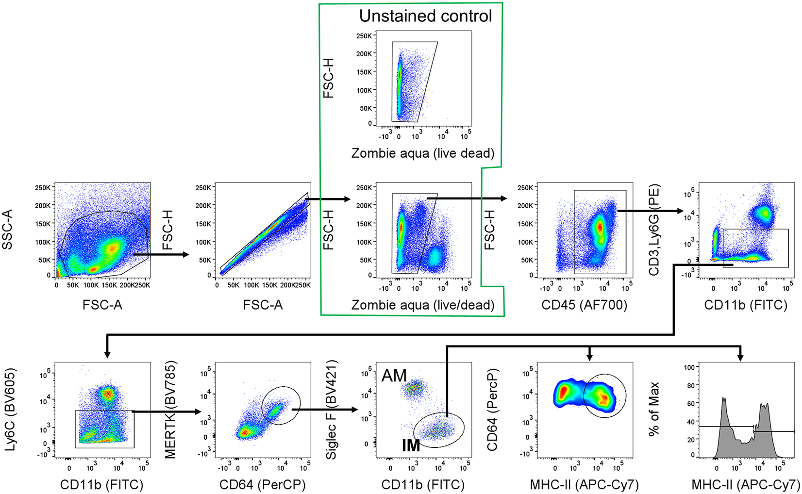 Cell Press: STAR Protocols