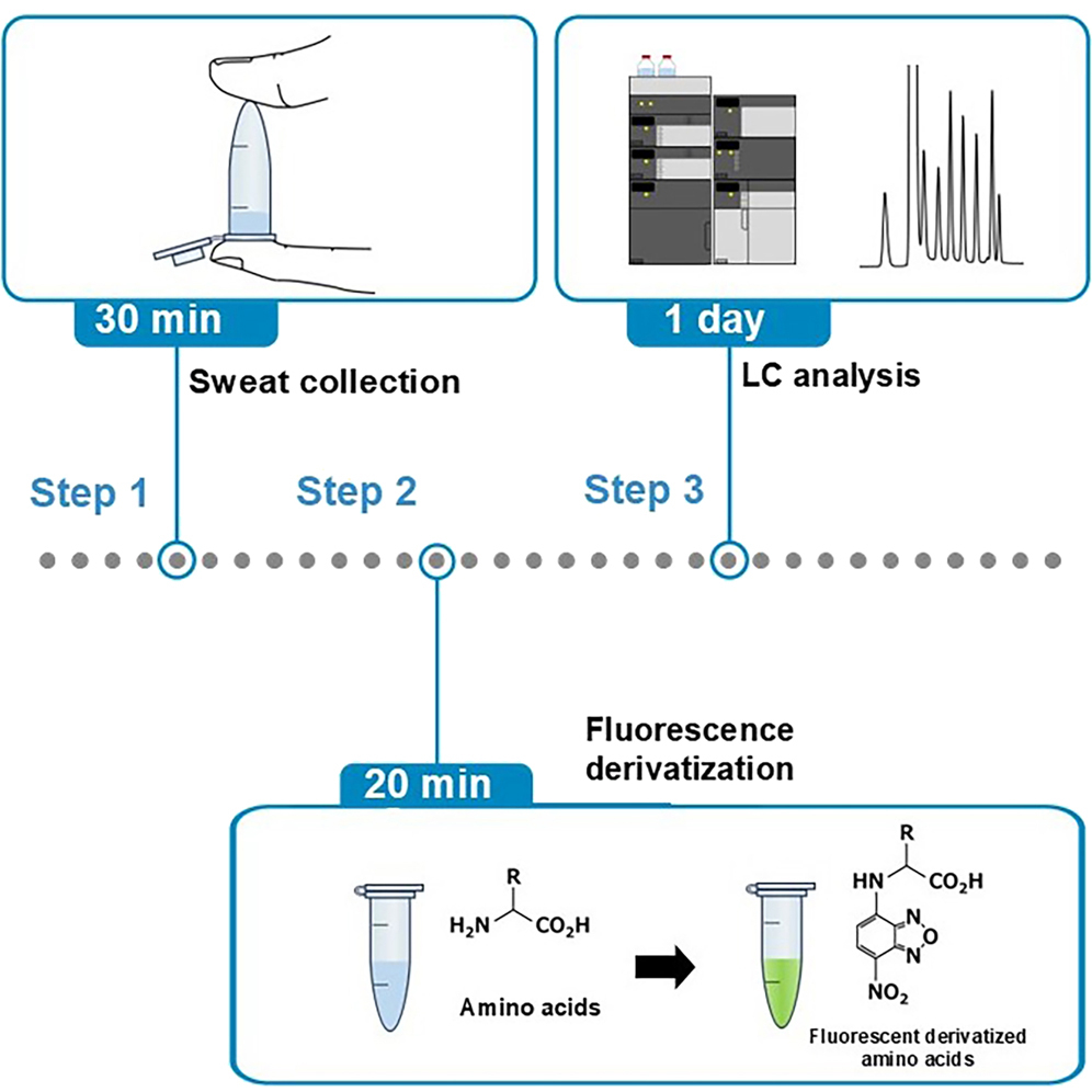 Cell Press: STAR Protocols