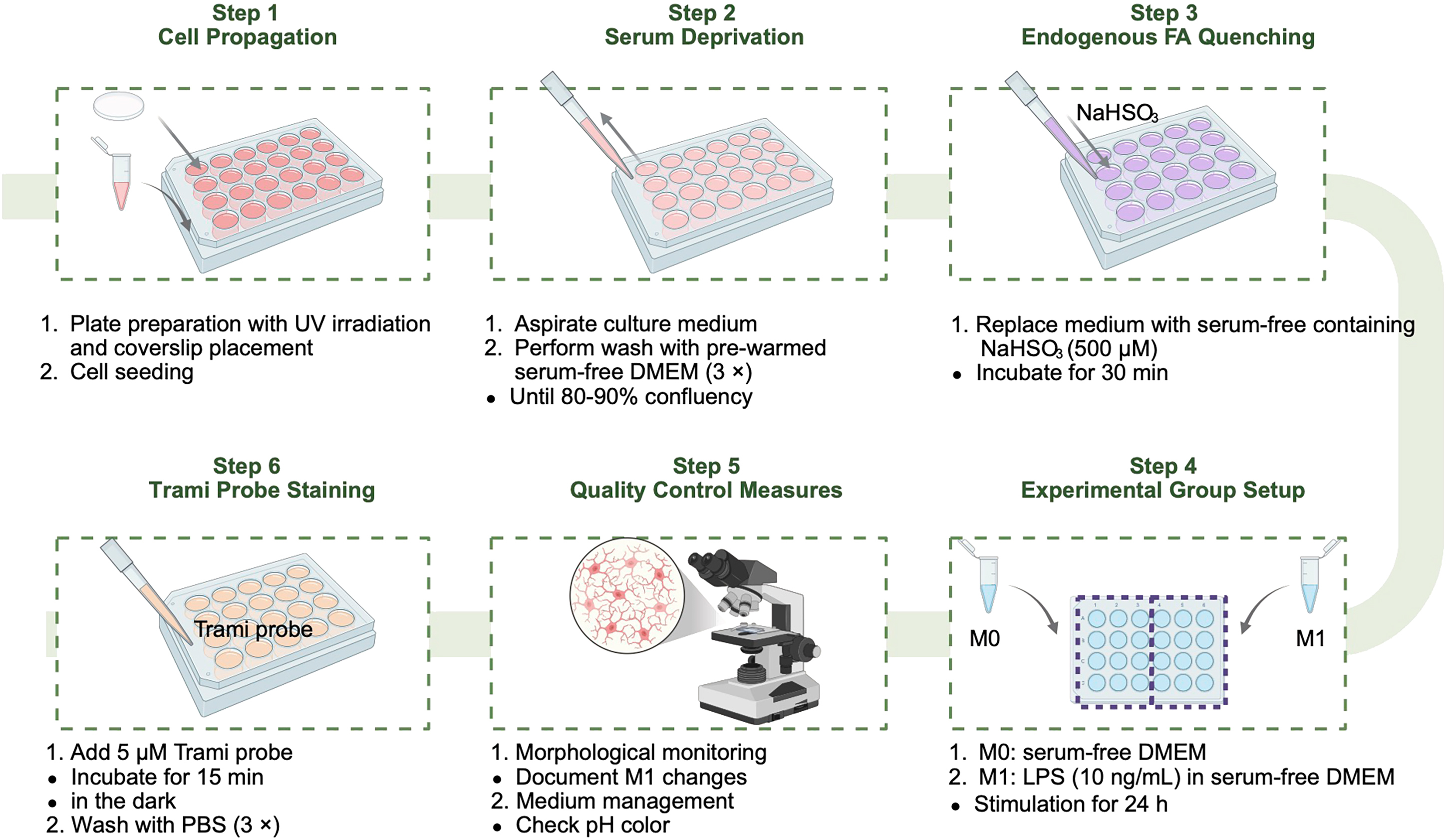Cell Press: STAR Protocols