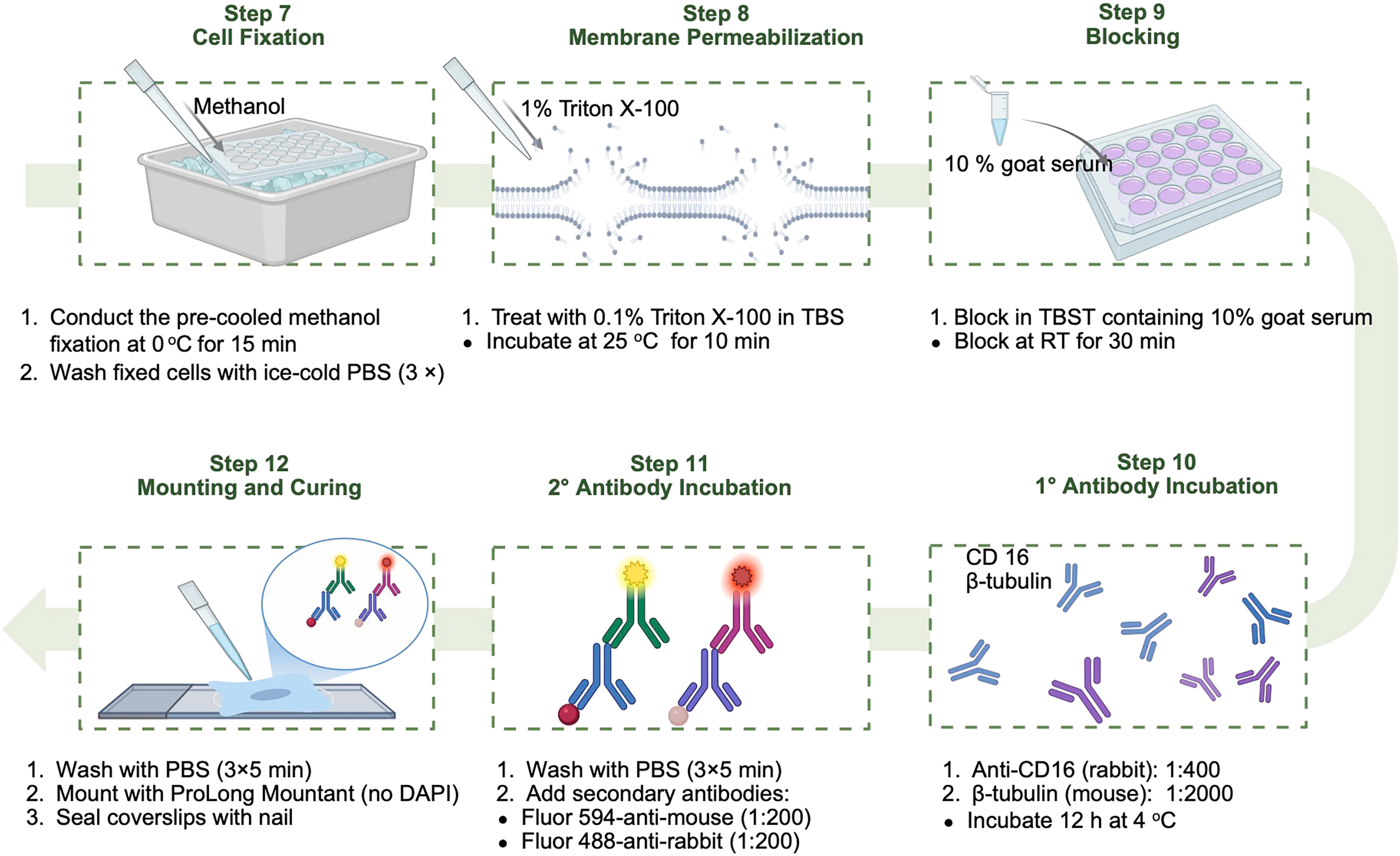 Cell Press: STAR Protocols