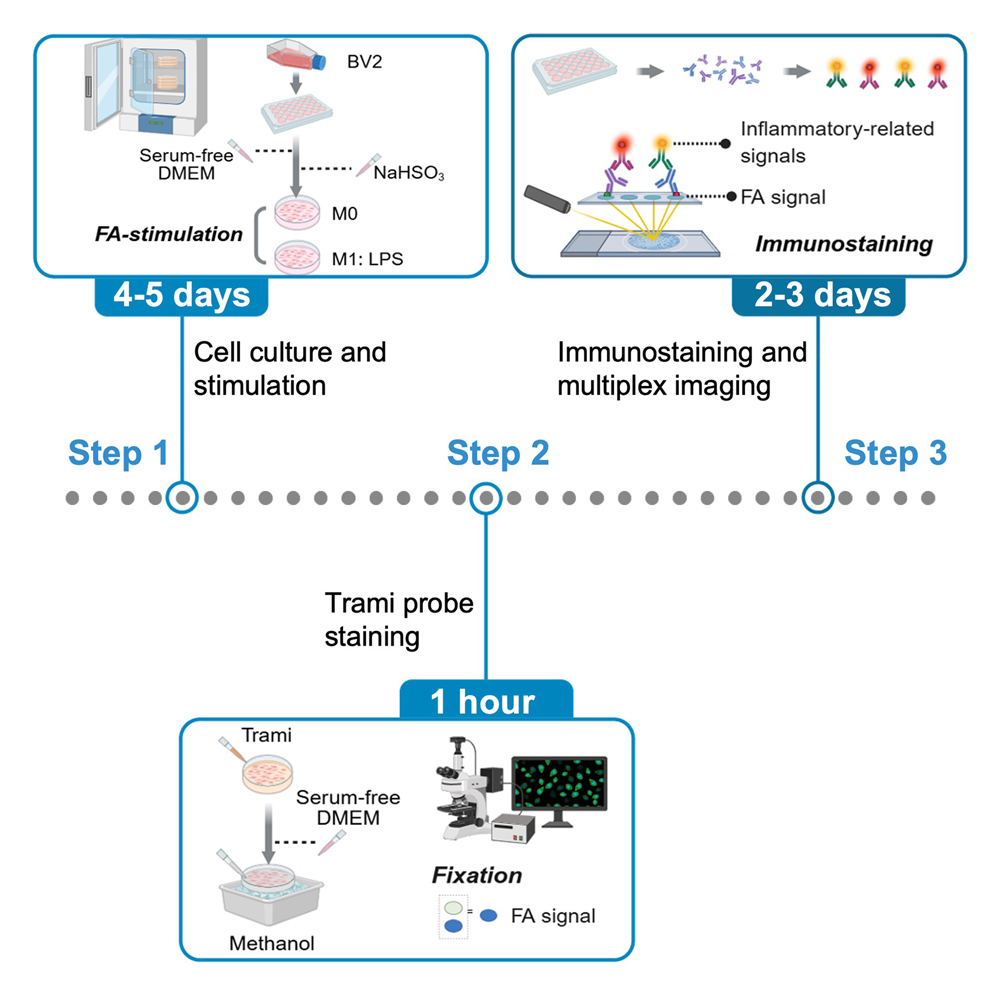 Cell Press: STAR Protocols