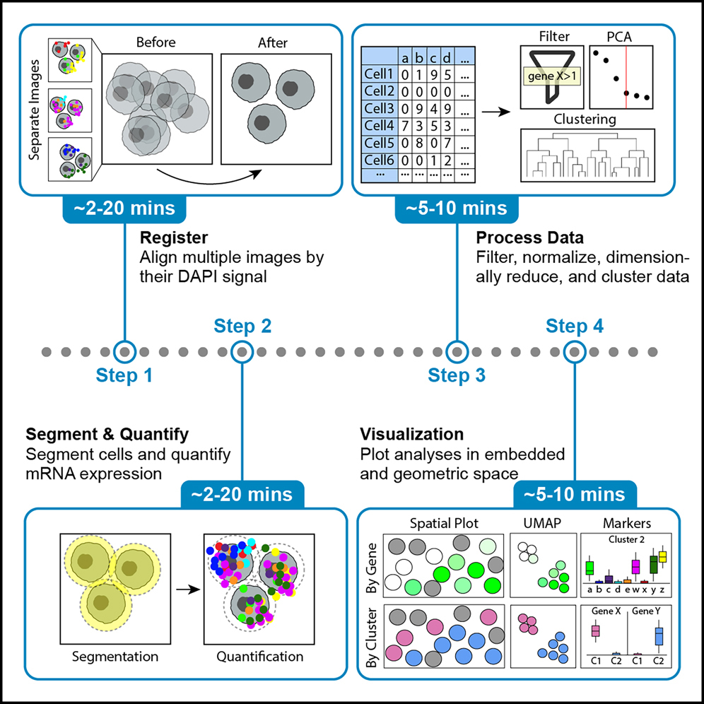 Cell Press: STAR Protocols