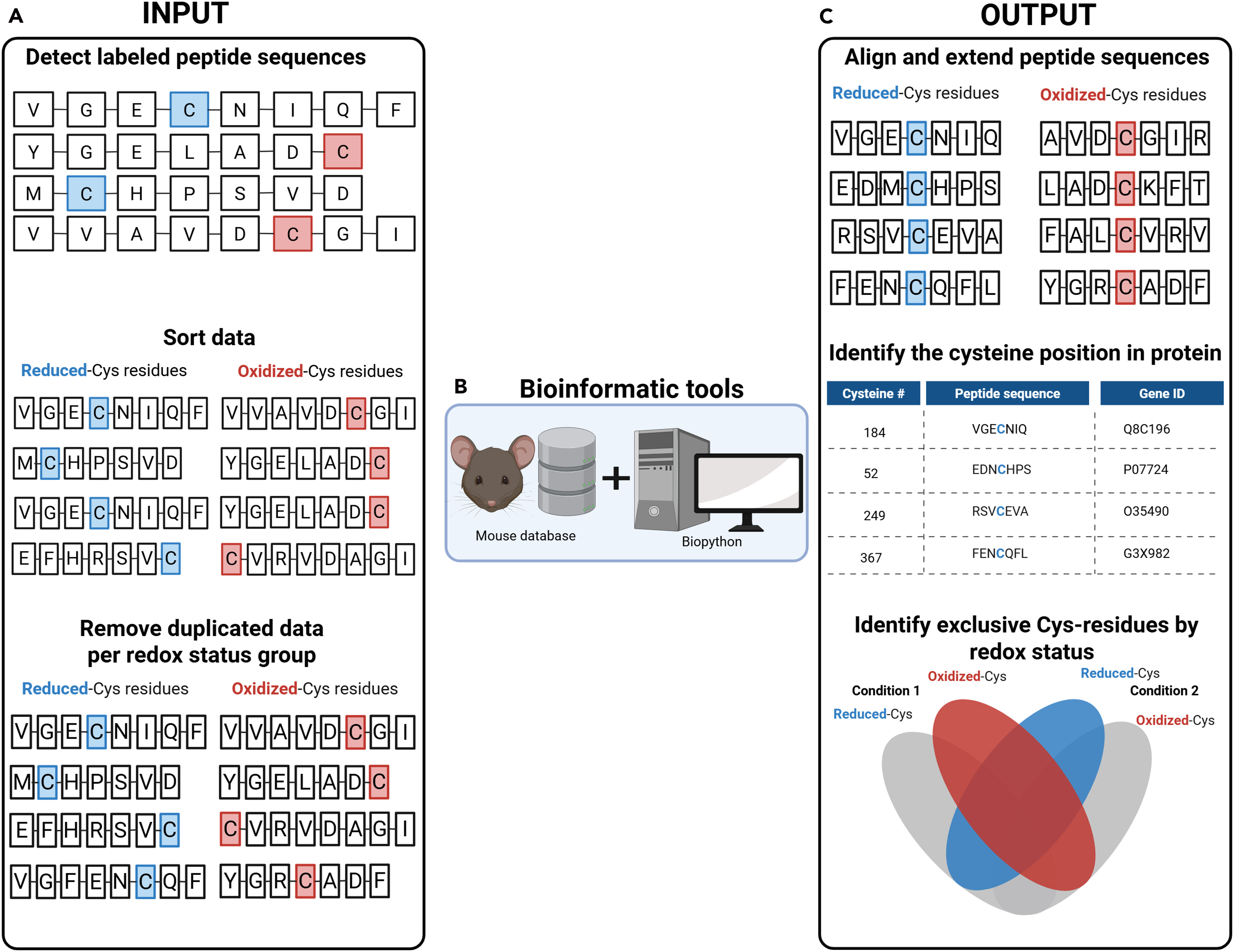Cell Press: STAR Protocols