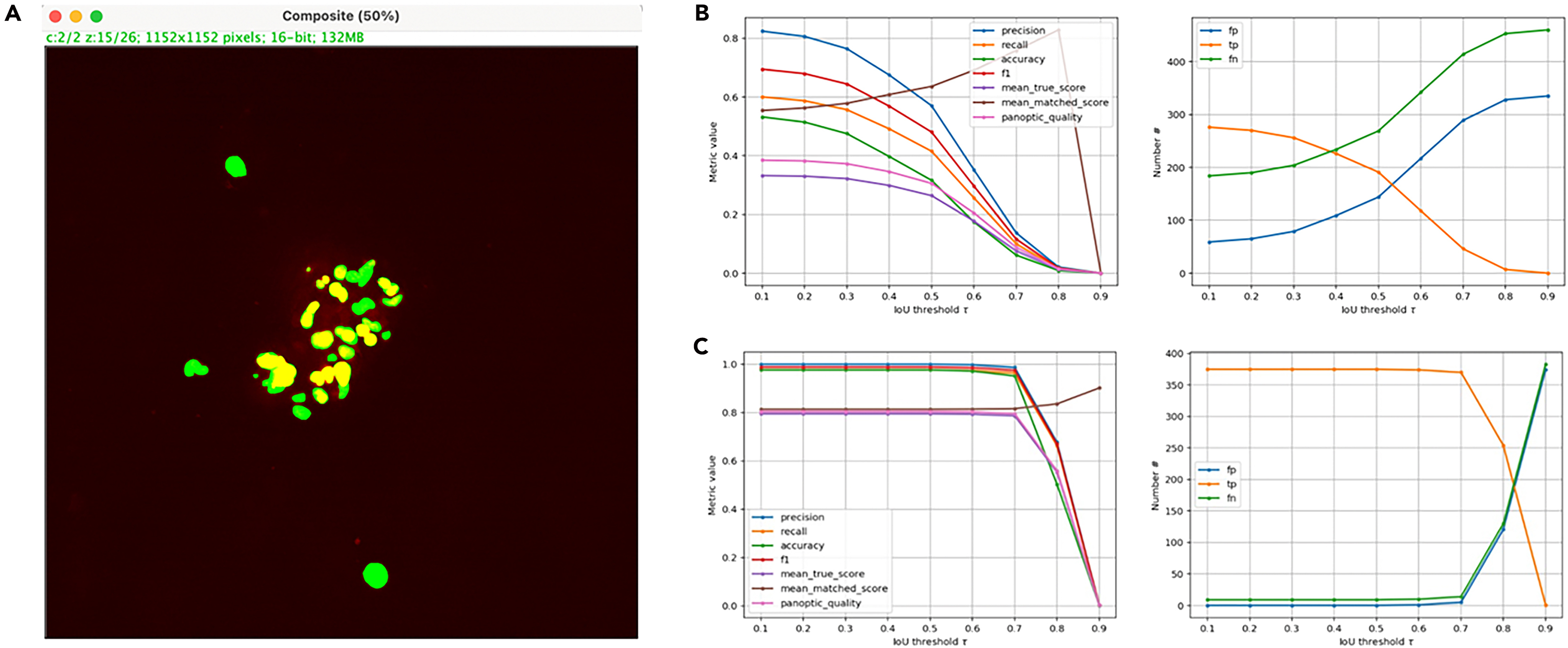 Cell Press: STAR Protocols