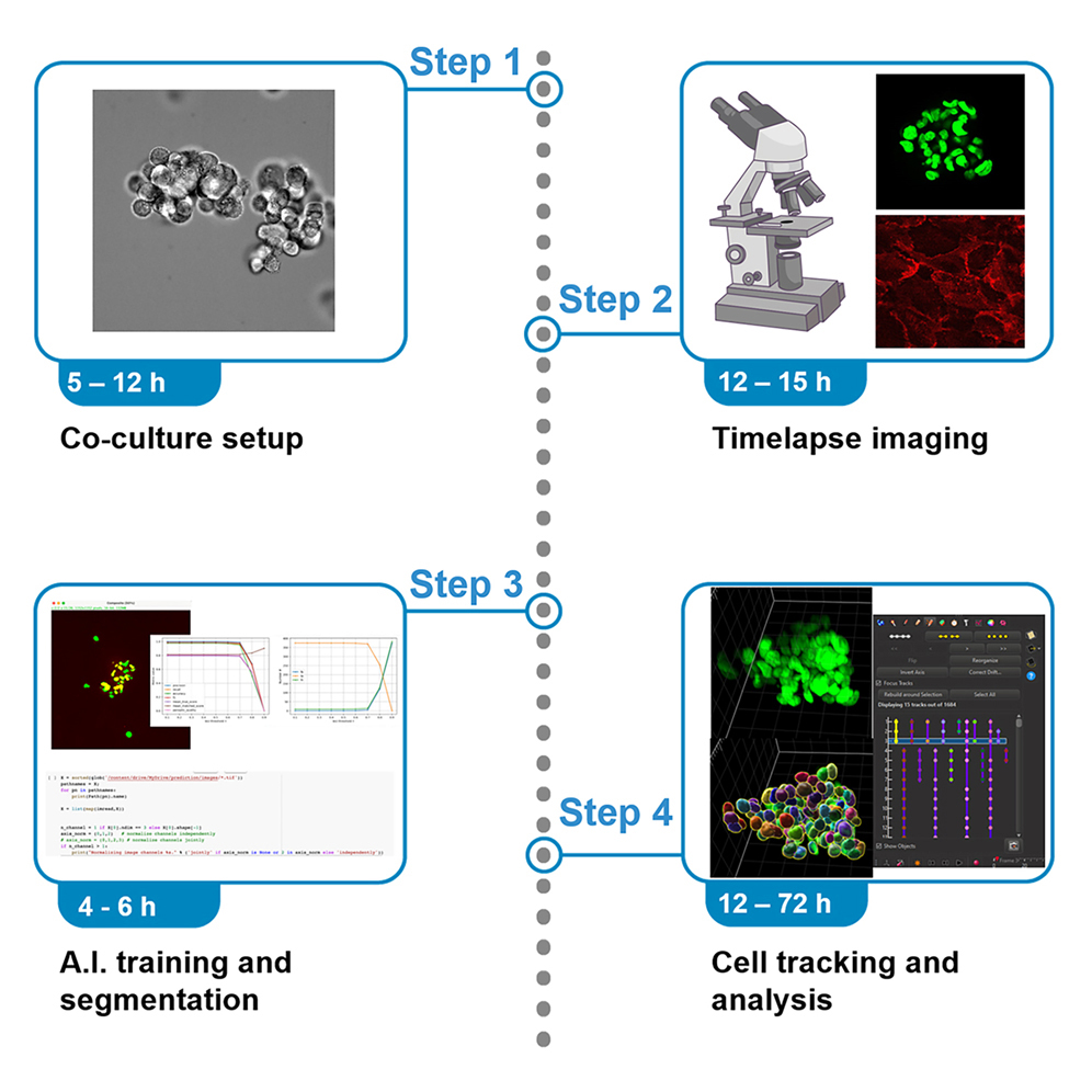 Cell Press: STAR Protocols