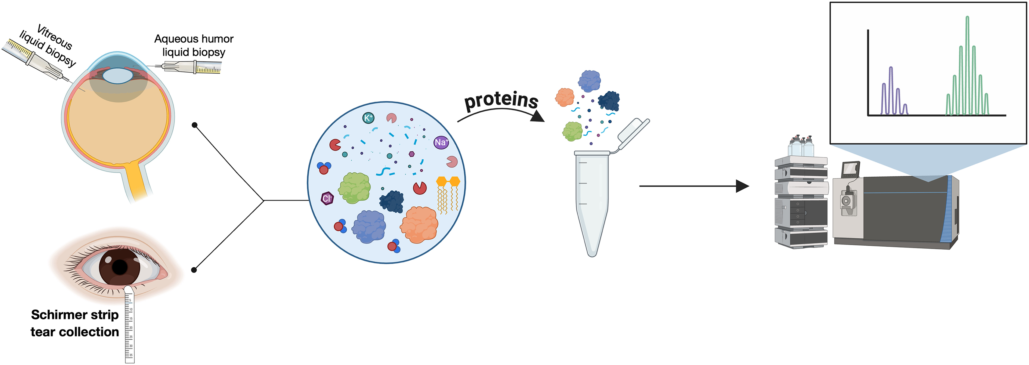 Cell Press: STAR Protocols