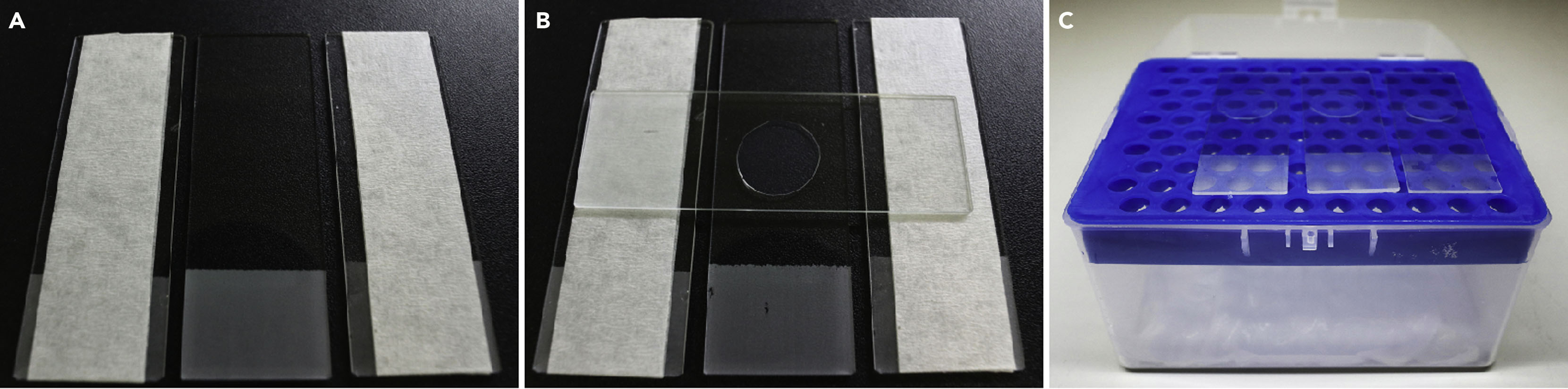 Cell Press: STAR Protocols