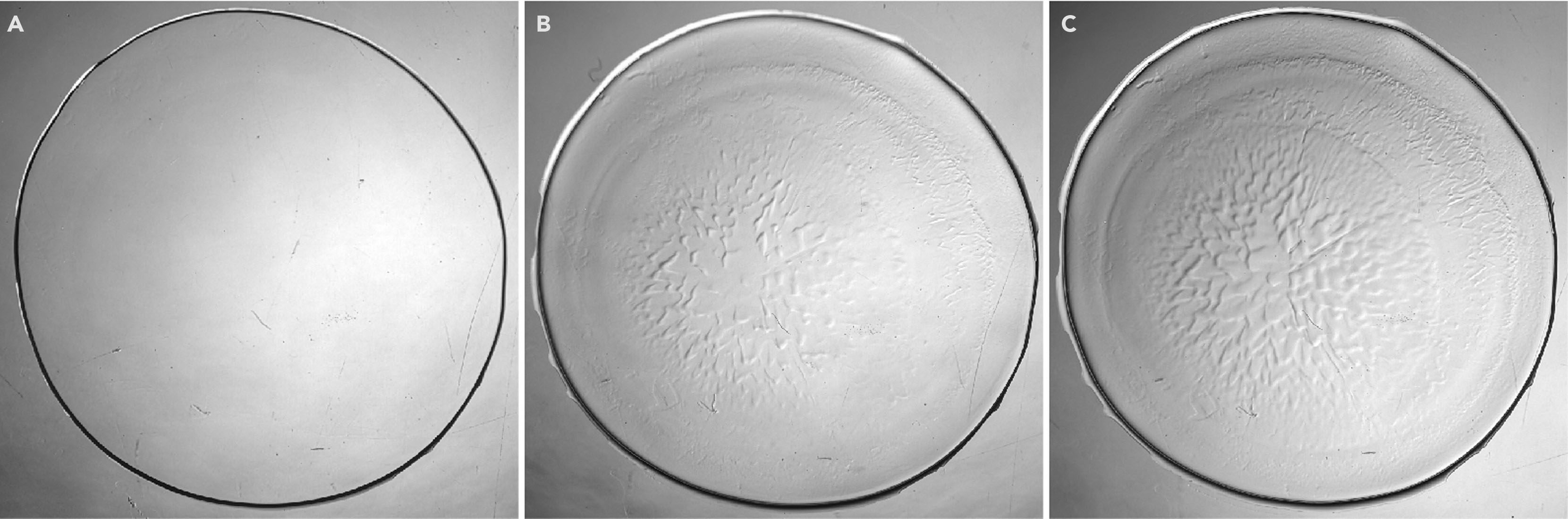 Cell Press: STAR Protocols