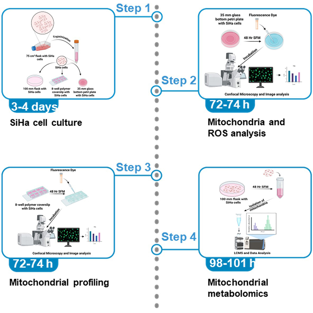 Cell Press: STAR Protocols