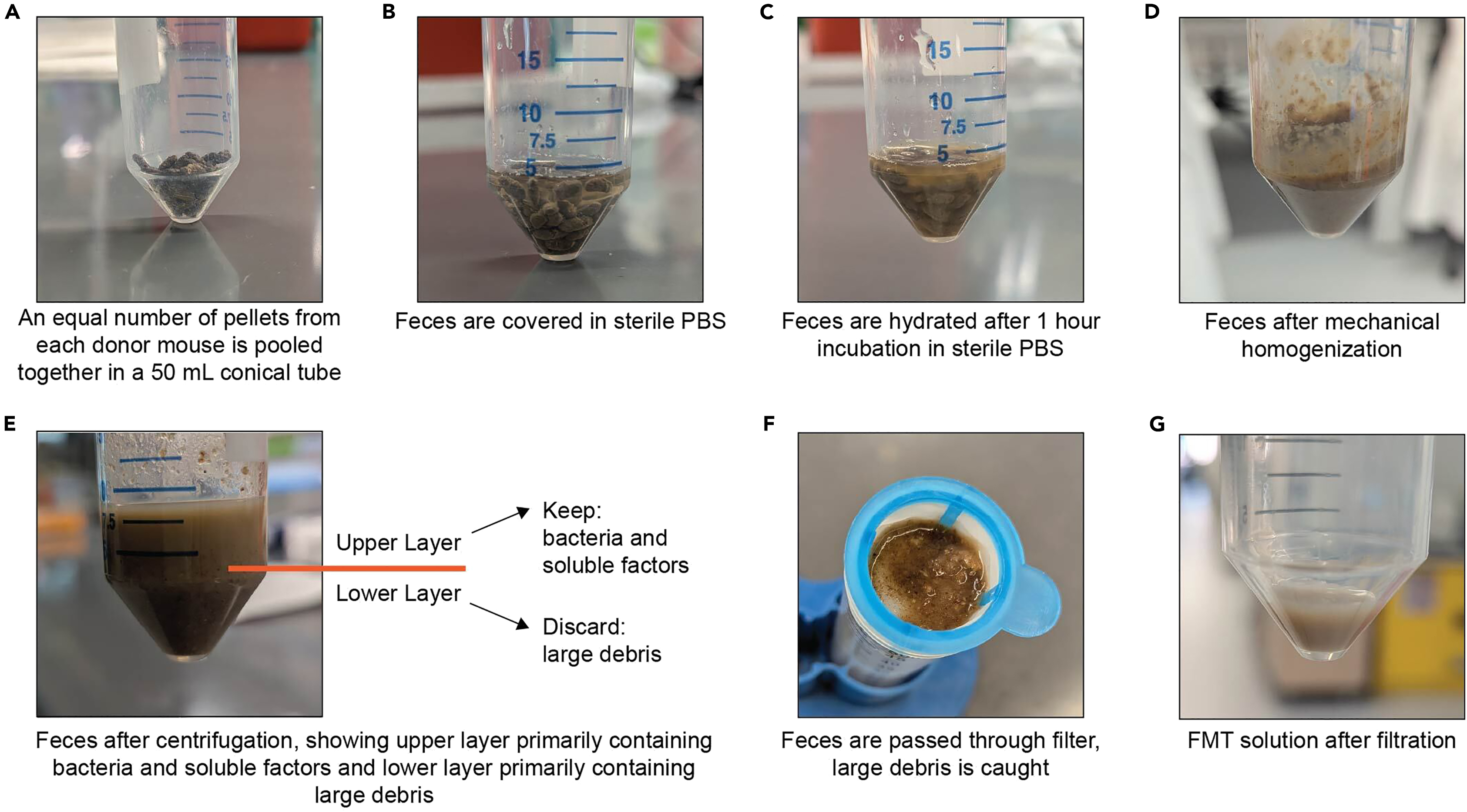 Cell Press: STAR Protocols