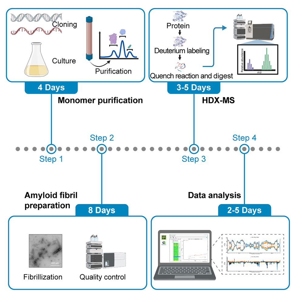 Cell Press: STAR Protocols