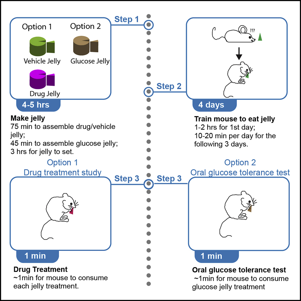 Cell Press: STAR Protocols