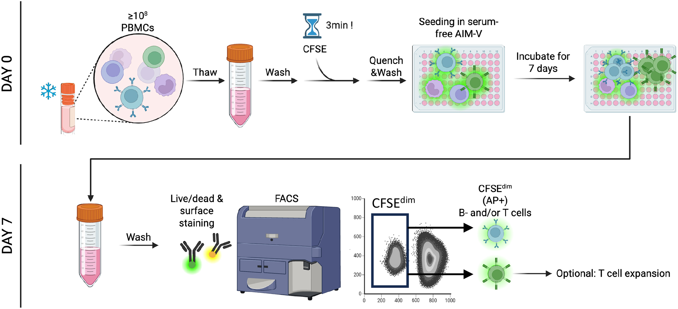 Cell Press: STAR Protocols