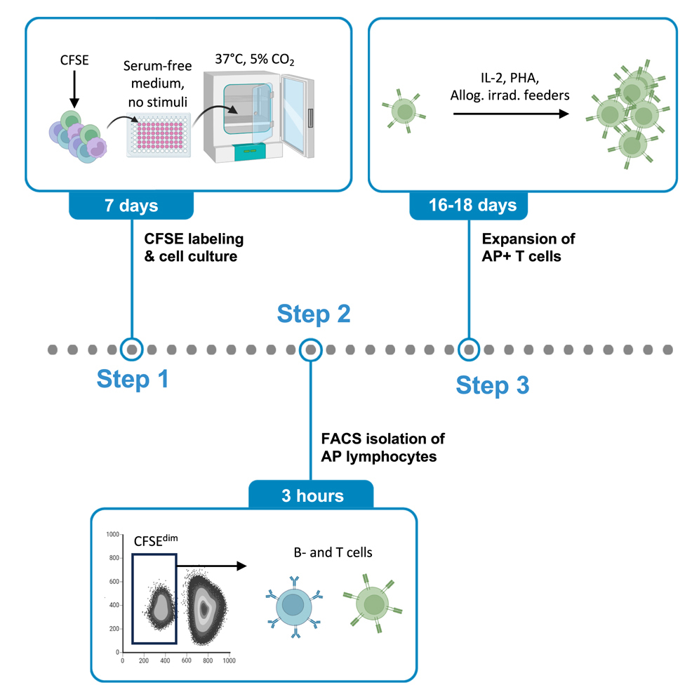 Cell Press: STAR Protocols