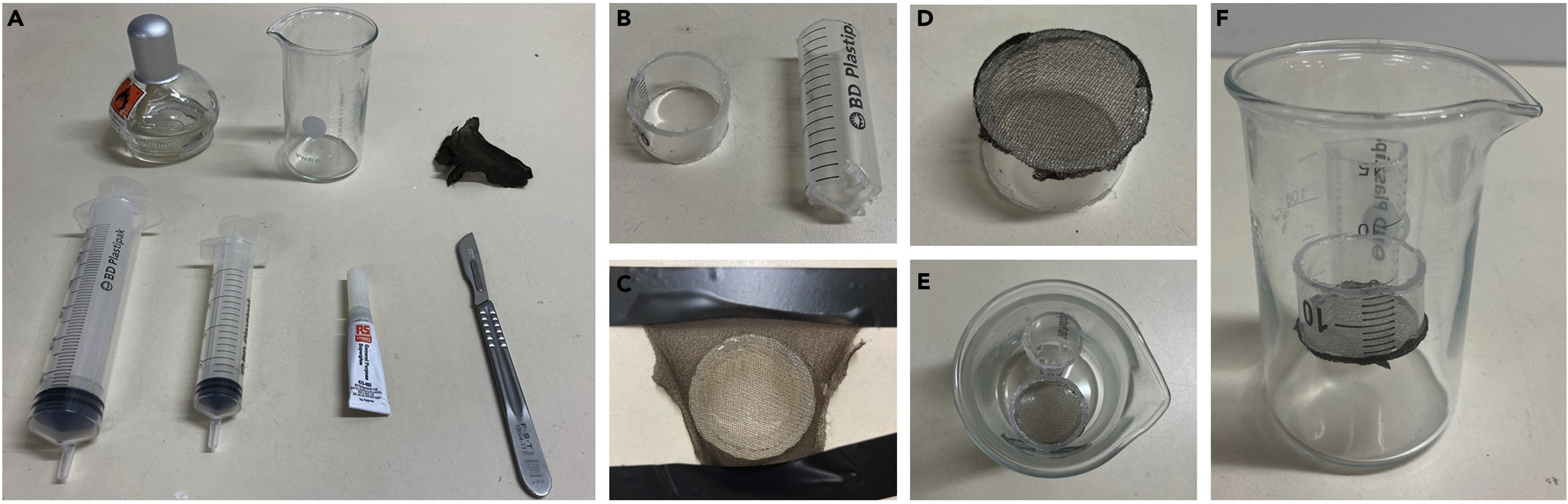 Cell Press: STAR Protocols
