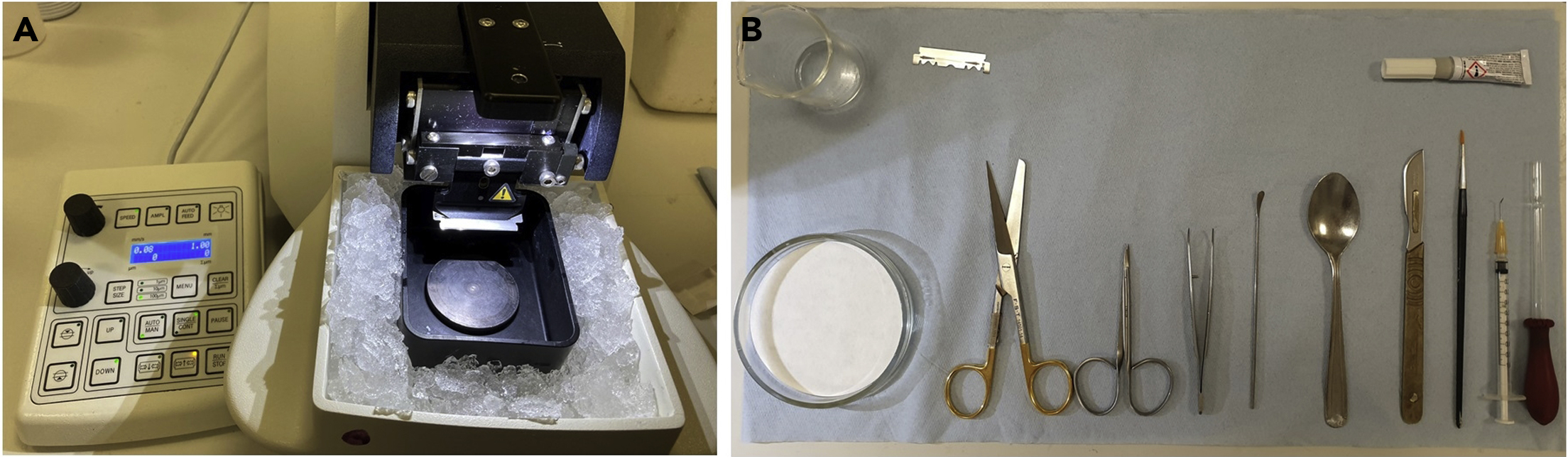 Cell Press: STAR Protocols