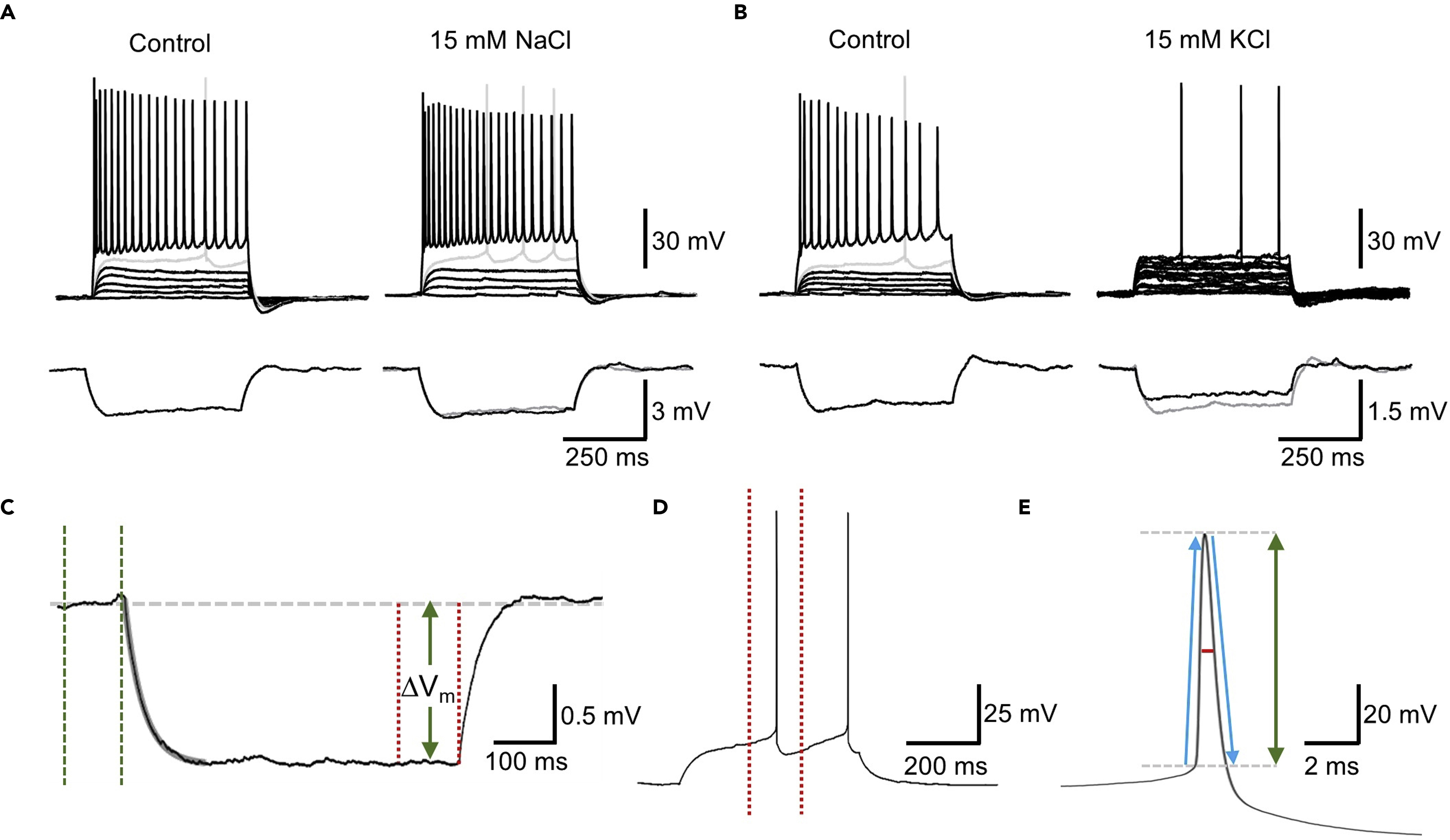 Cell Press: STAR Protocols