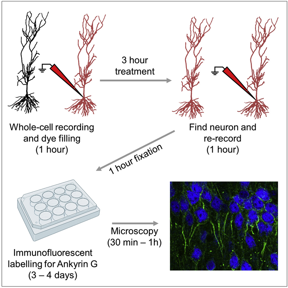 How To Write A Balanced Whole Cell Equation – FIREGUN