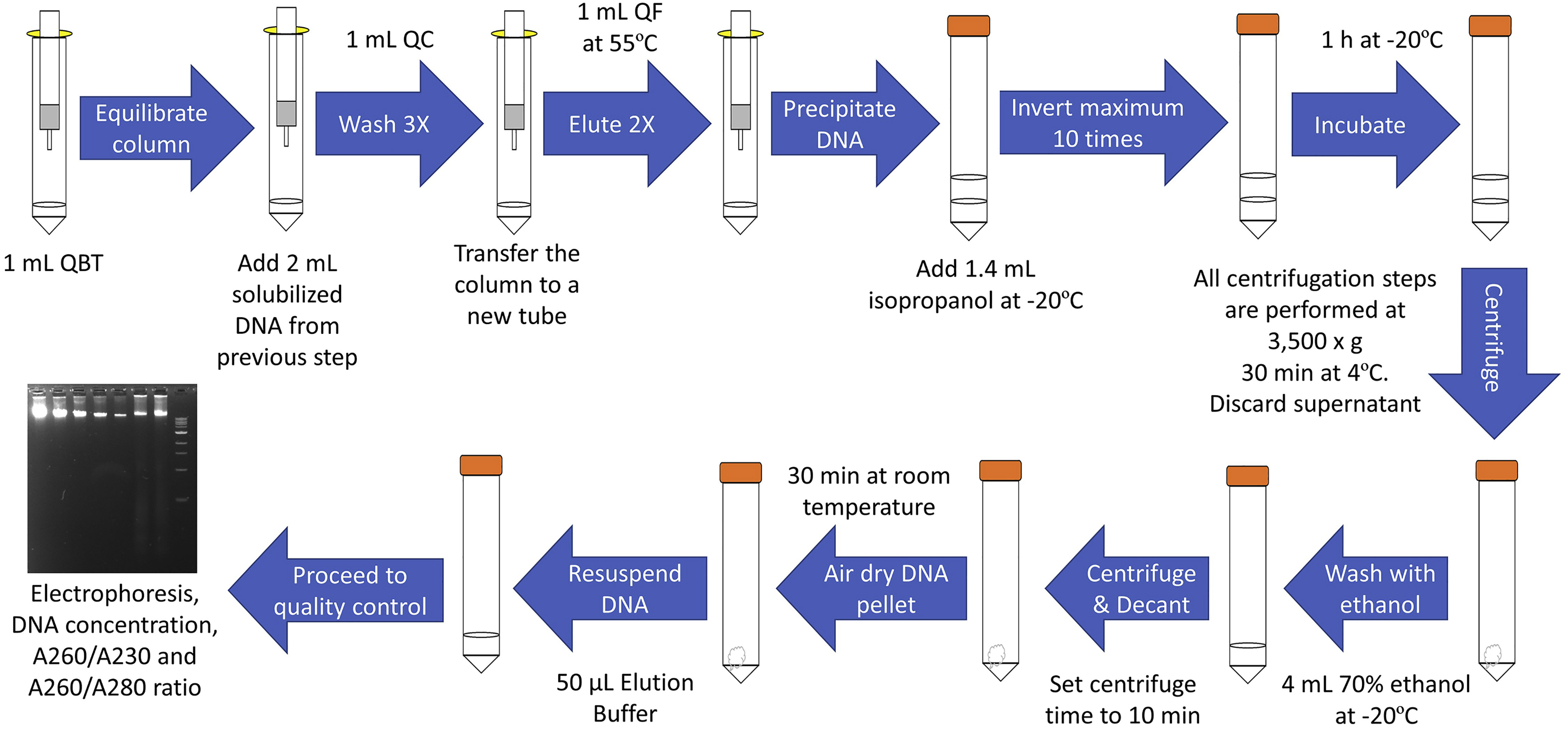 Cell Press: STAR Protocols