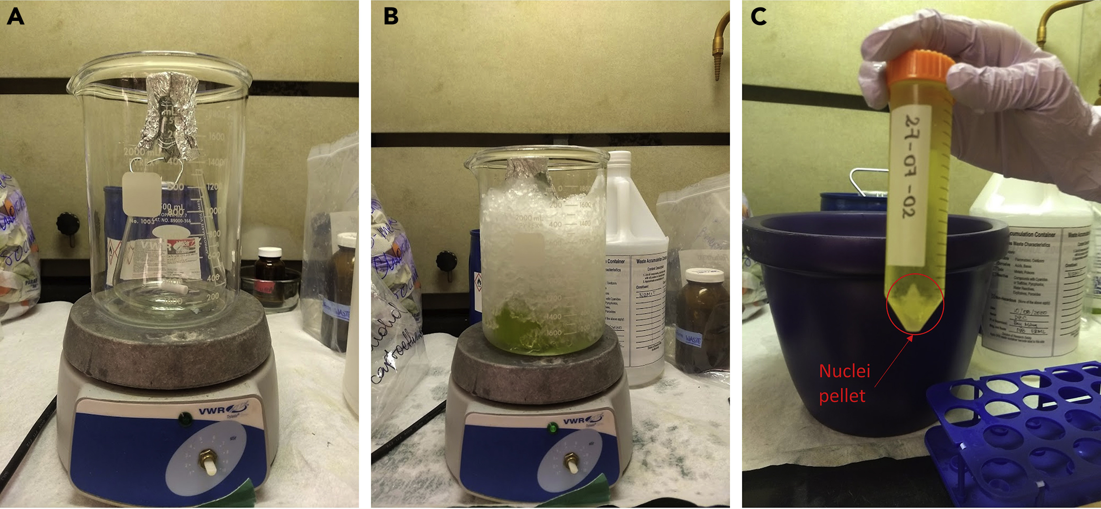 Cell Press: STAR Protocols