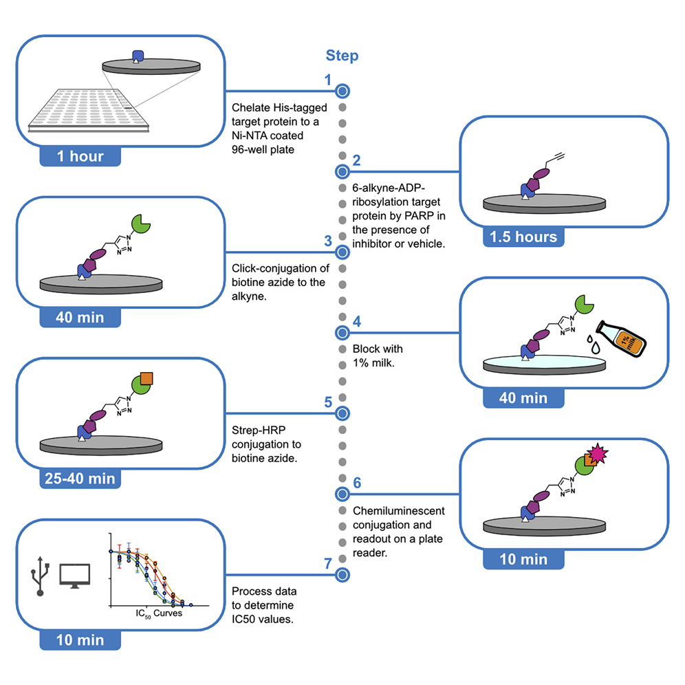 Cell Press: STAR Protocols