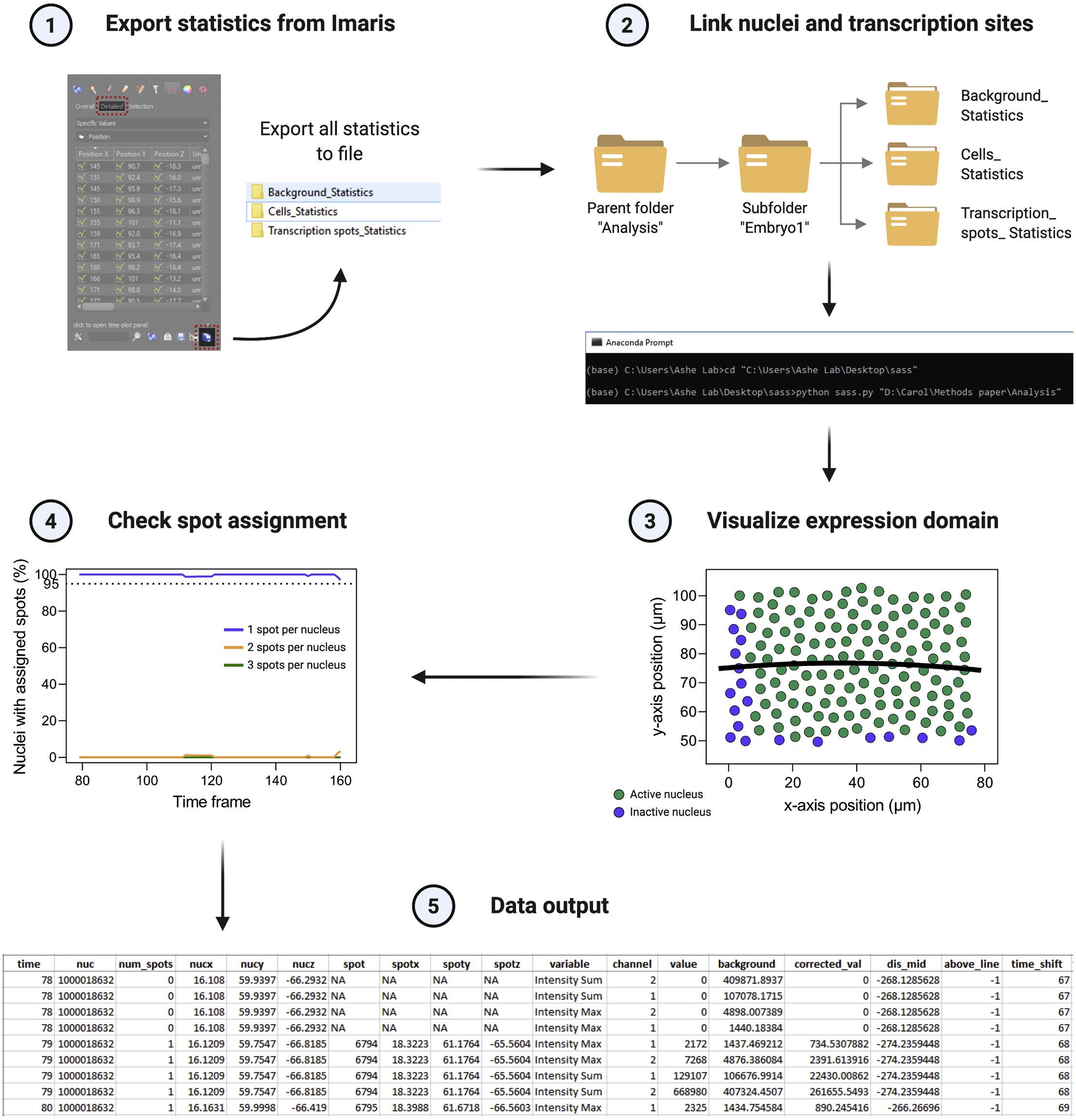Cell Press: STAR Protocols