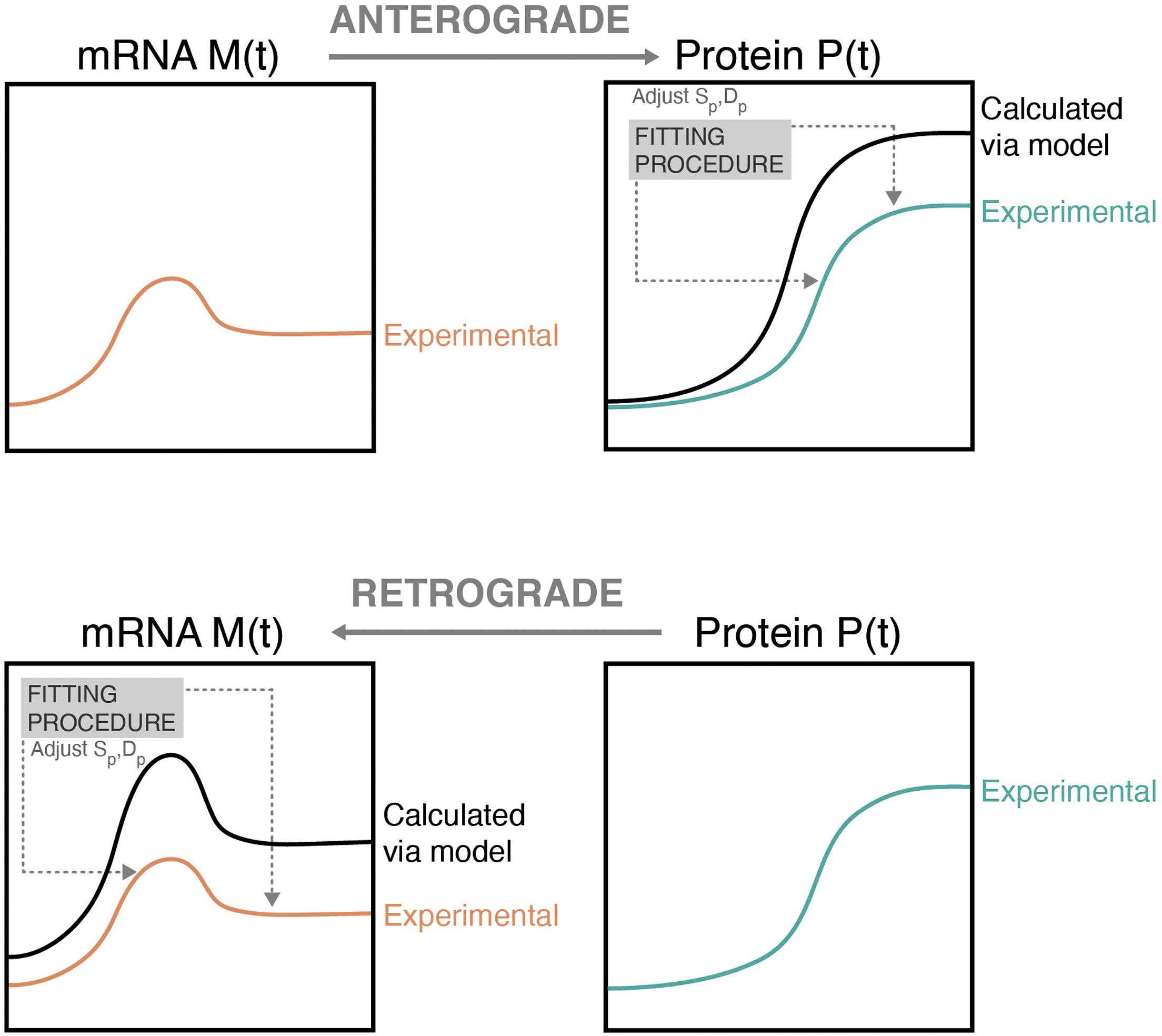 Cell Press: STAR Protocols