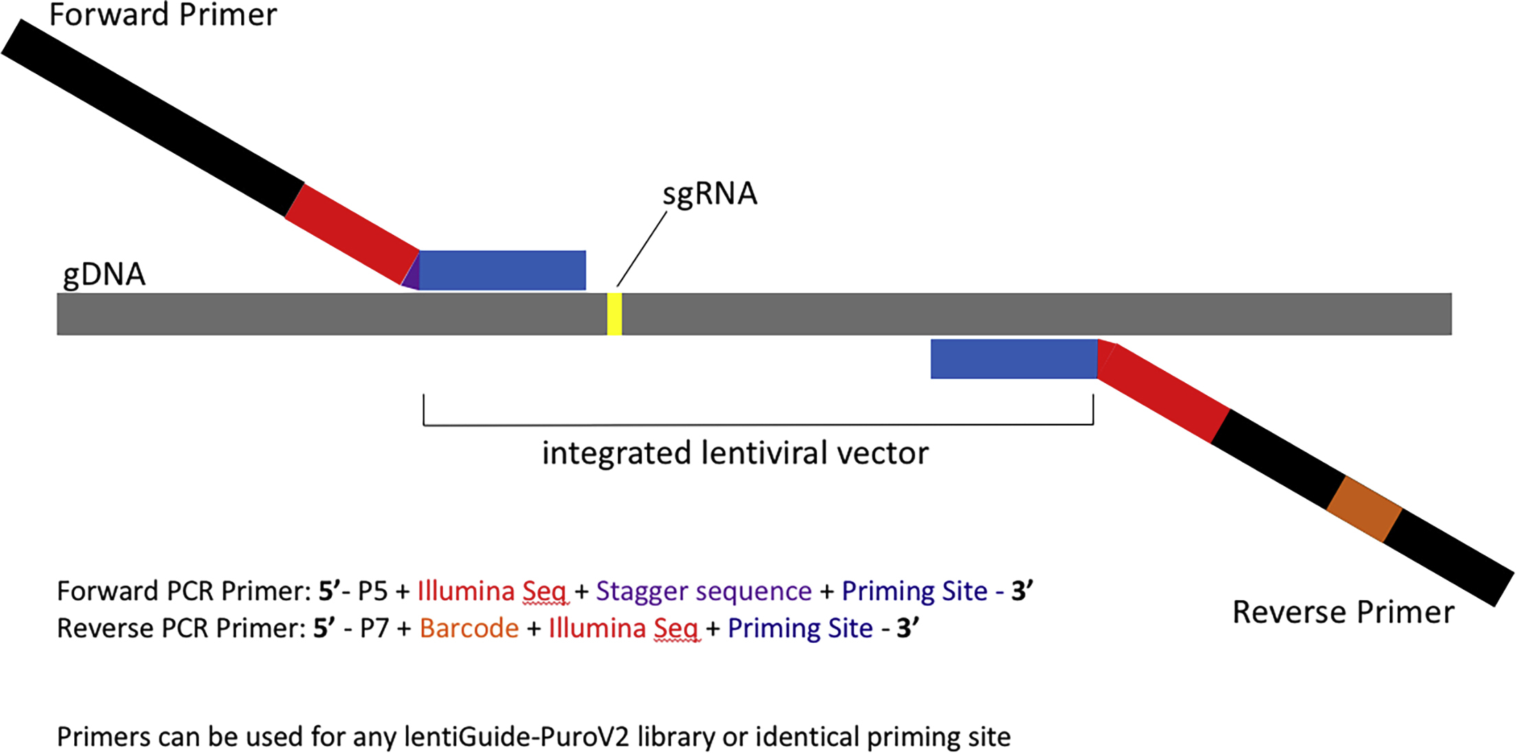 Cell Press: STAR Protocols