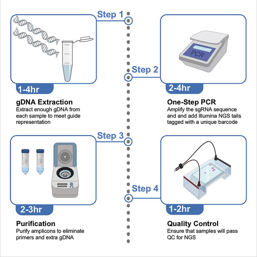 Cell Press: STAR Protocols