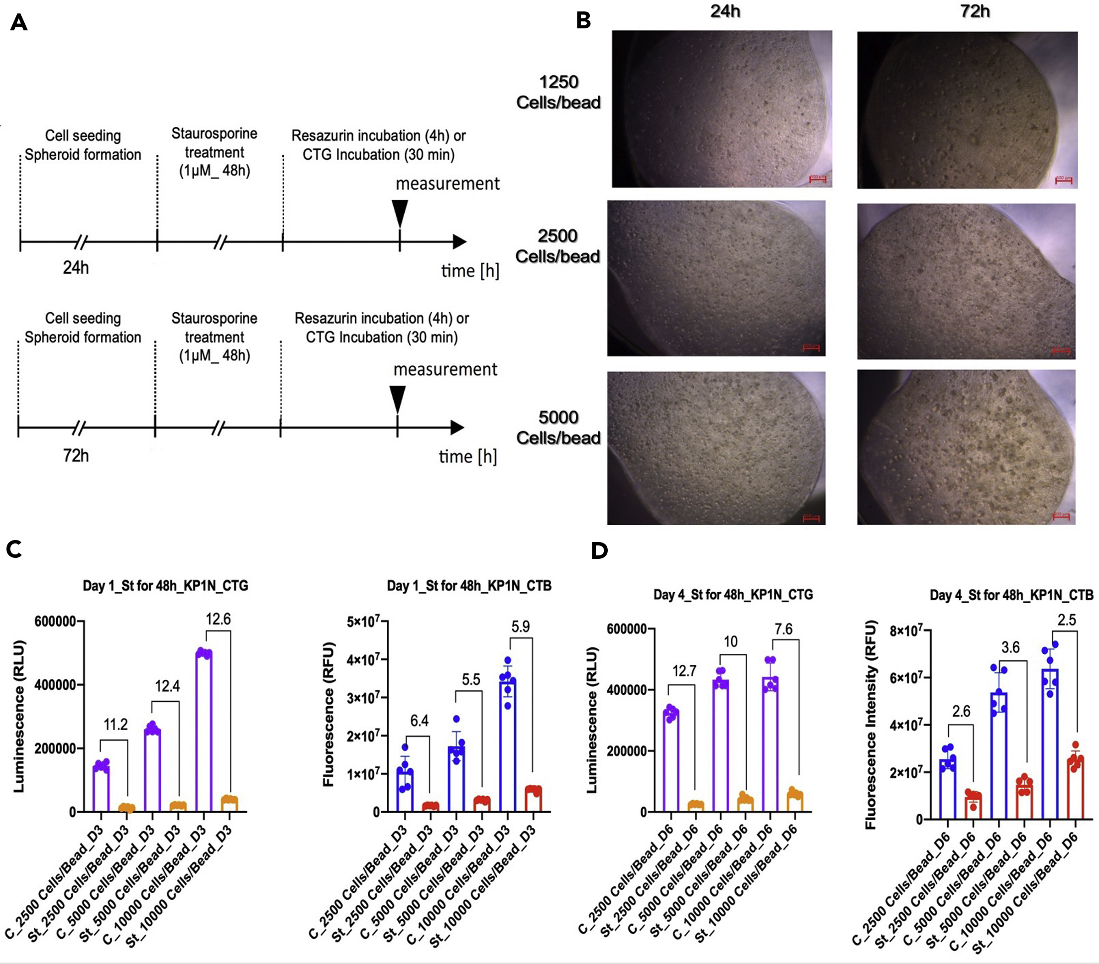 Cell Press: STAR Protocols