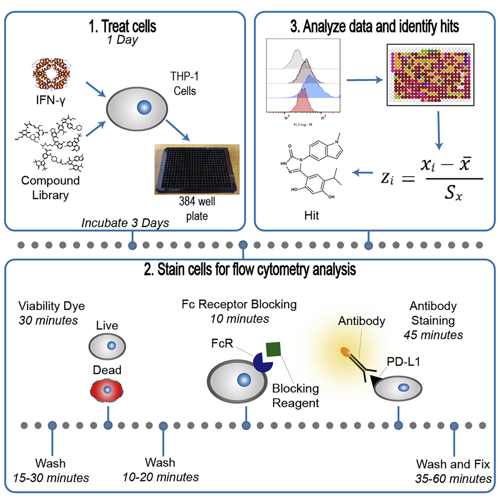 Cell Press: STAR Protocols