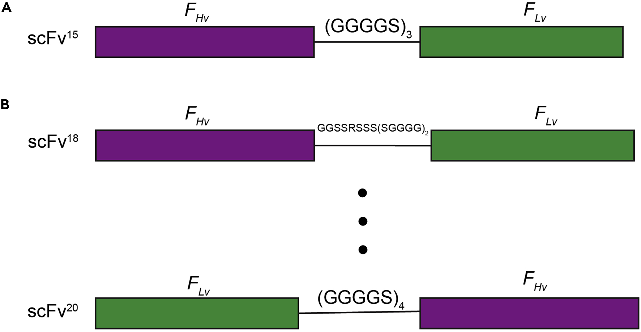 Cell Press: STAR Protocols