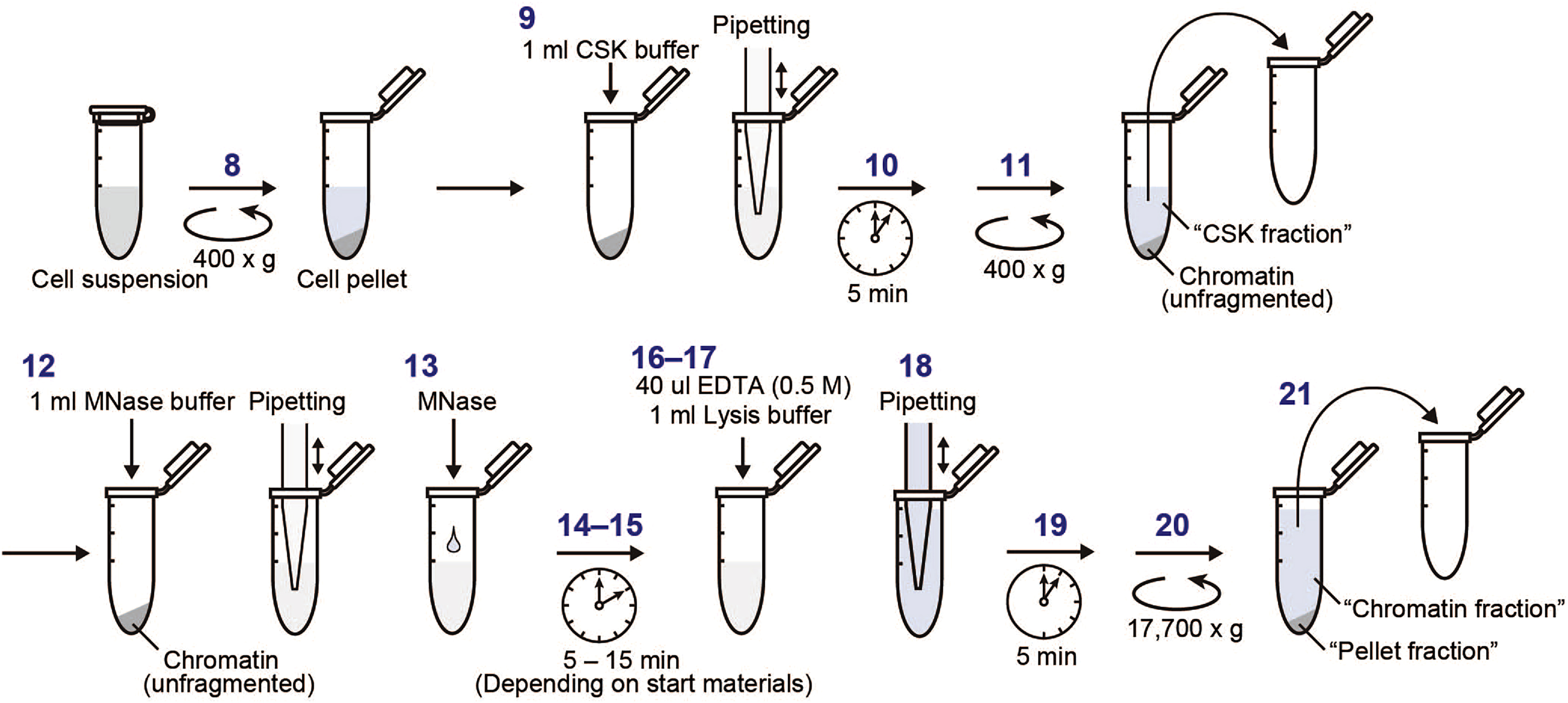 Cell Press: STAR Protocols