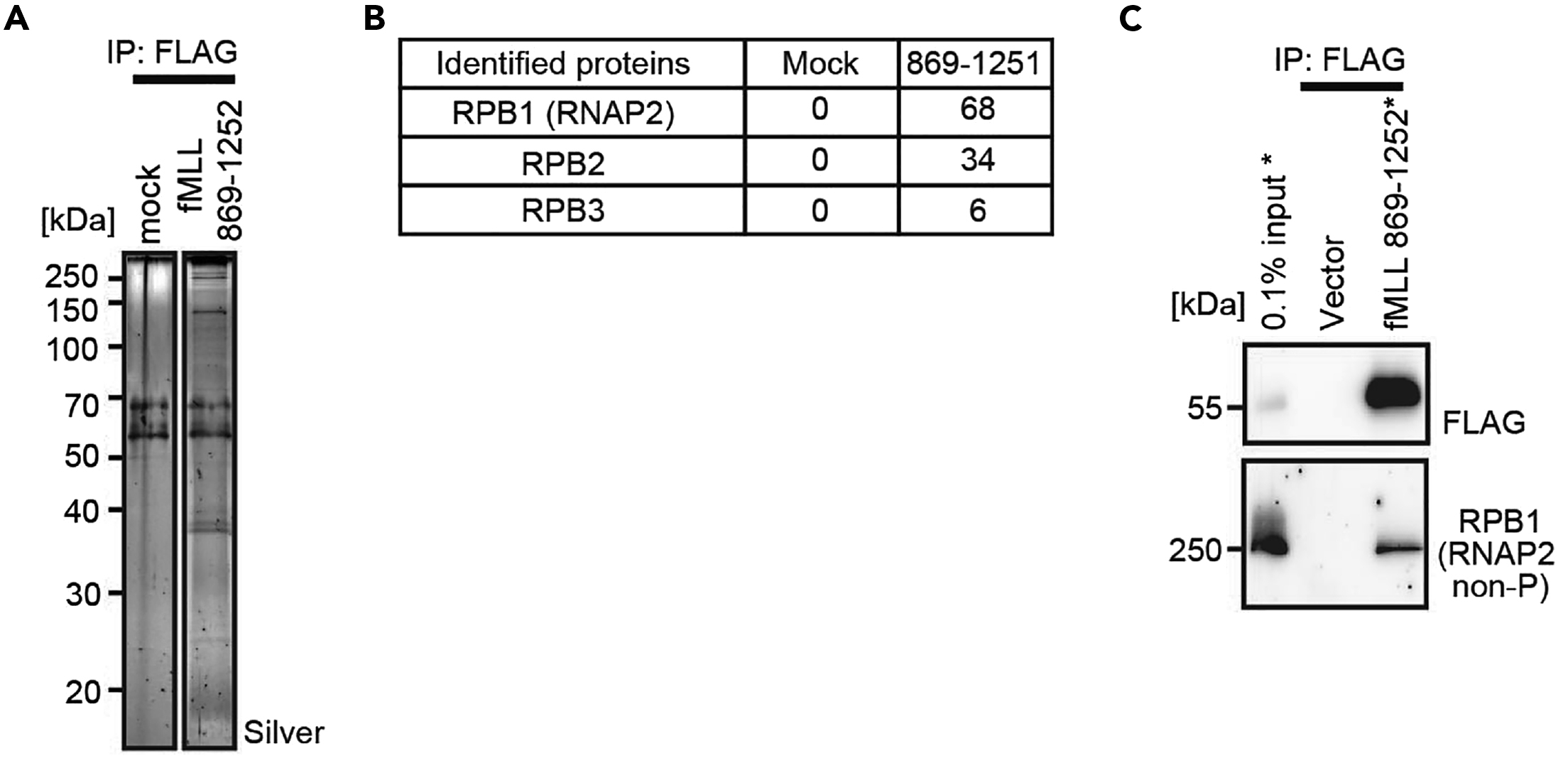 Cell Press: STAR Protocols