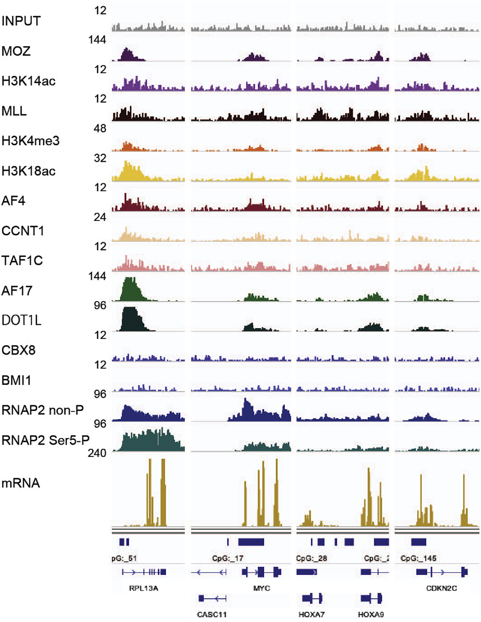 Cell Press: STAR Protocols