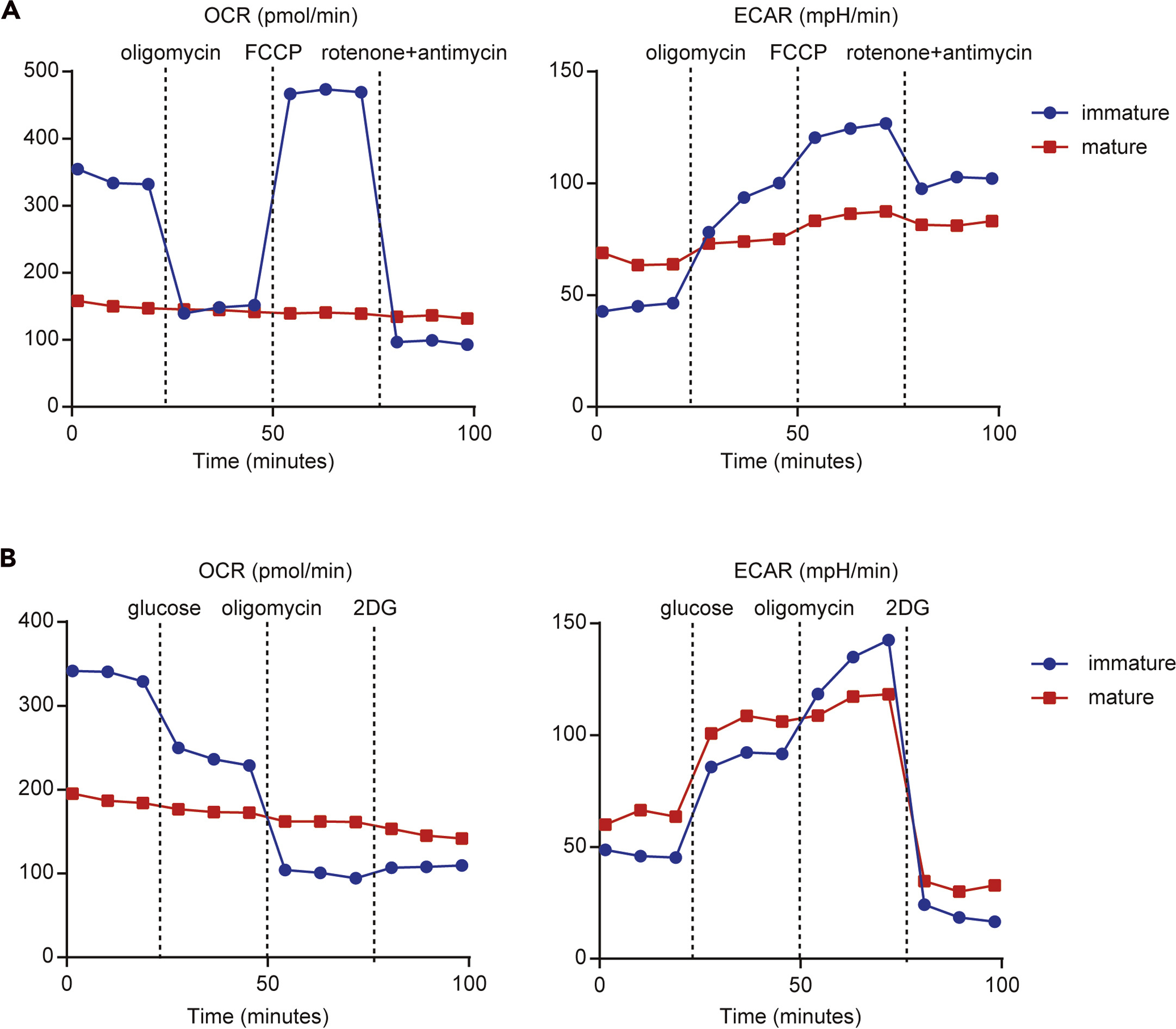 Cell Press: STAR Protocols