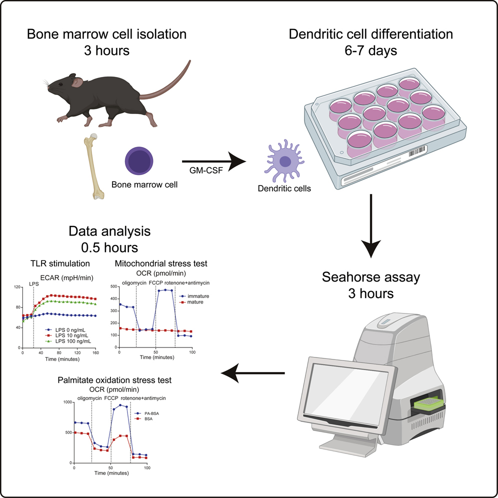 Cell Press: STAR Protocols