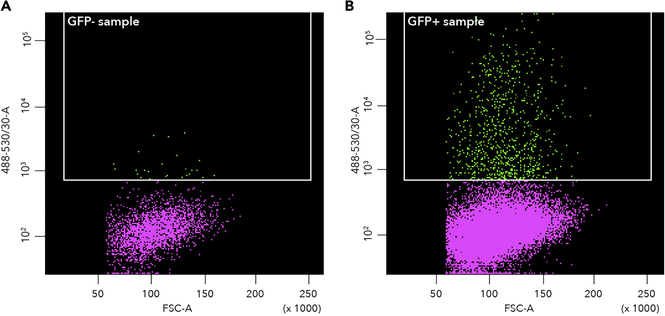 Cell Press: STAR Protocols