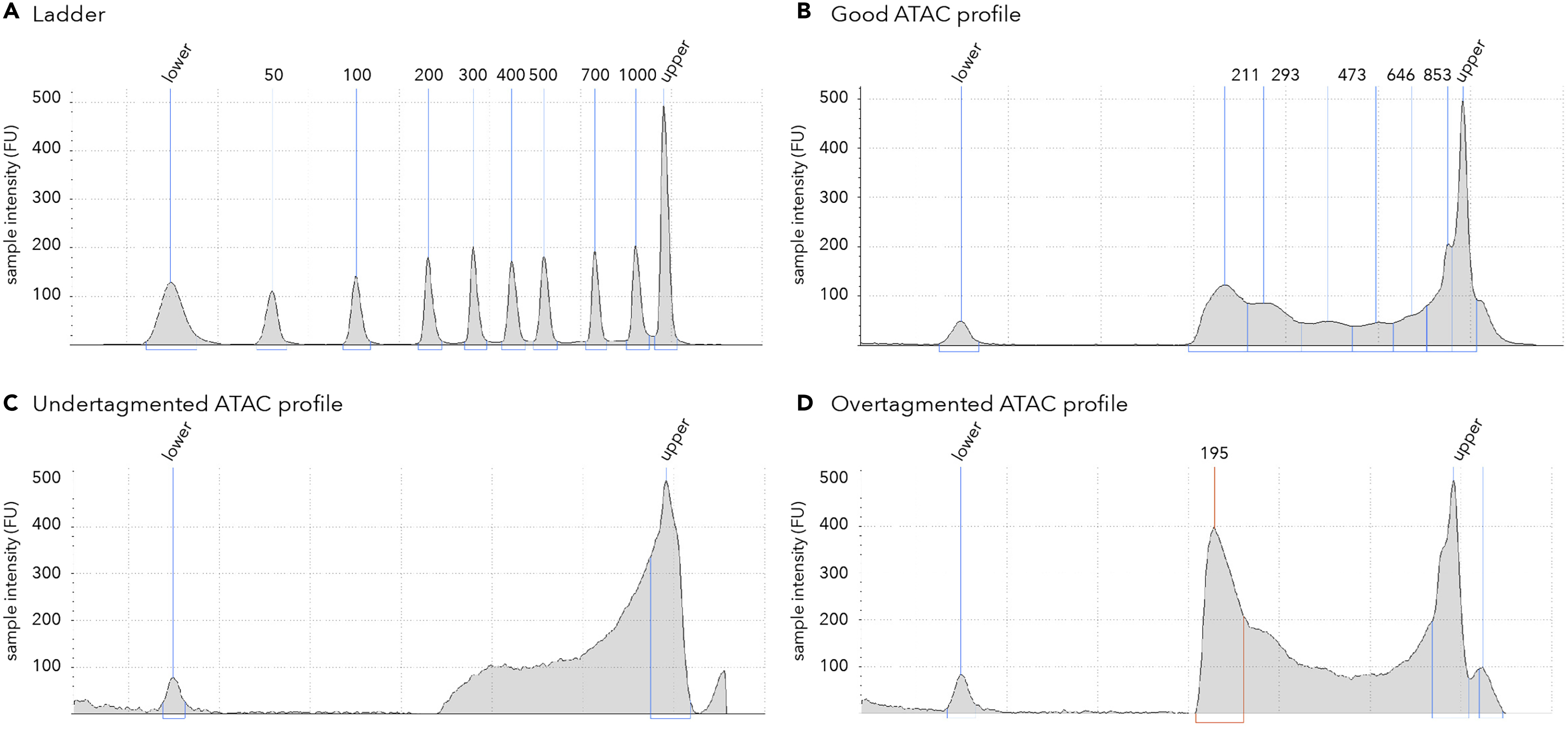 Cell Press: STAR Protocols