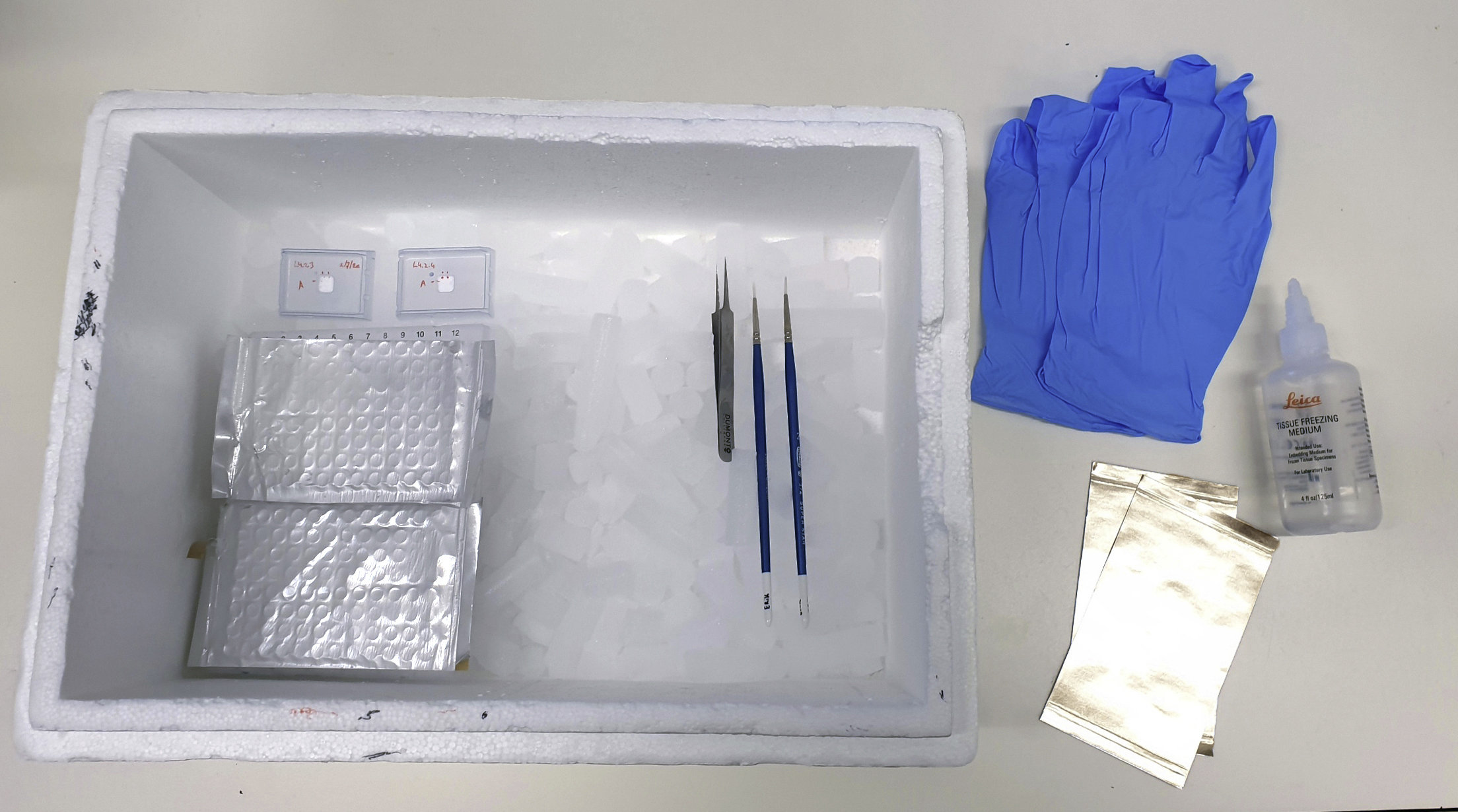 Cell Press: STAR Protocols