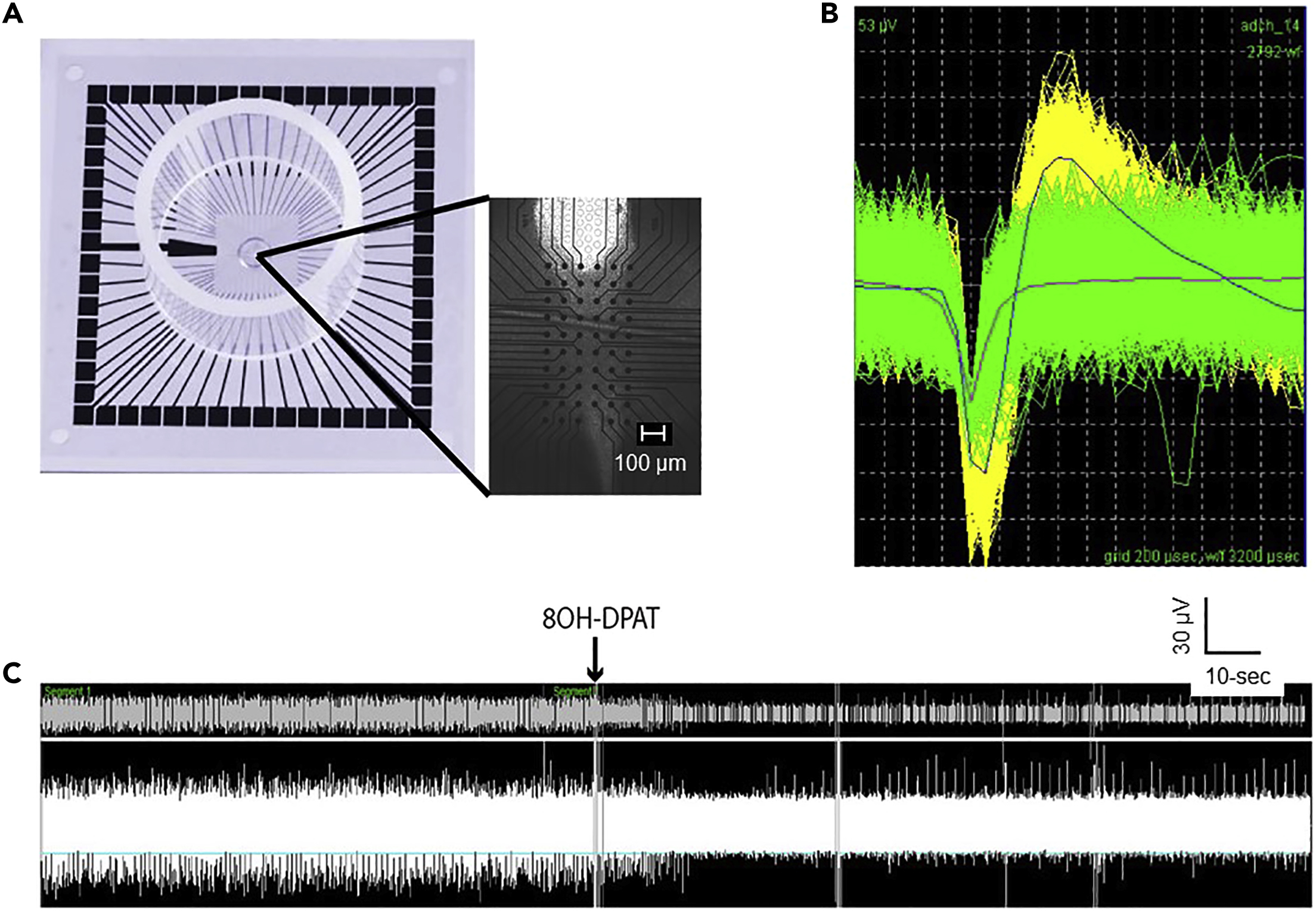 Cell Press: STAR Protocols