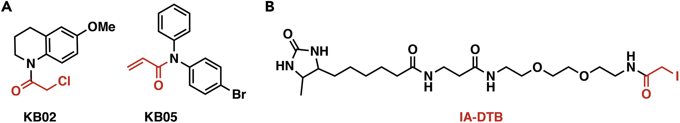 Cell Press: STAR Protocols