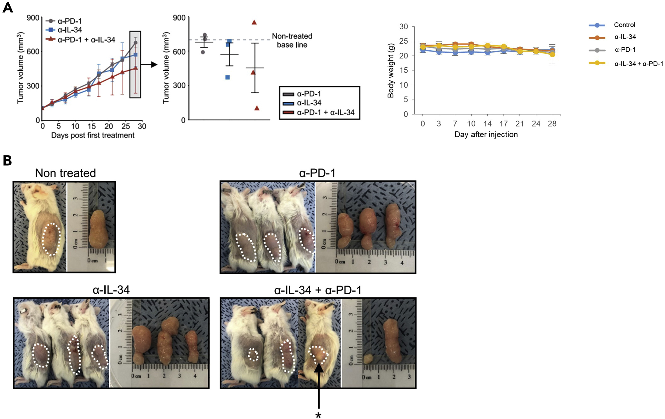 Cell Press: STAR Protocols